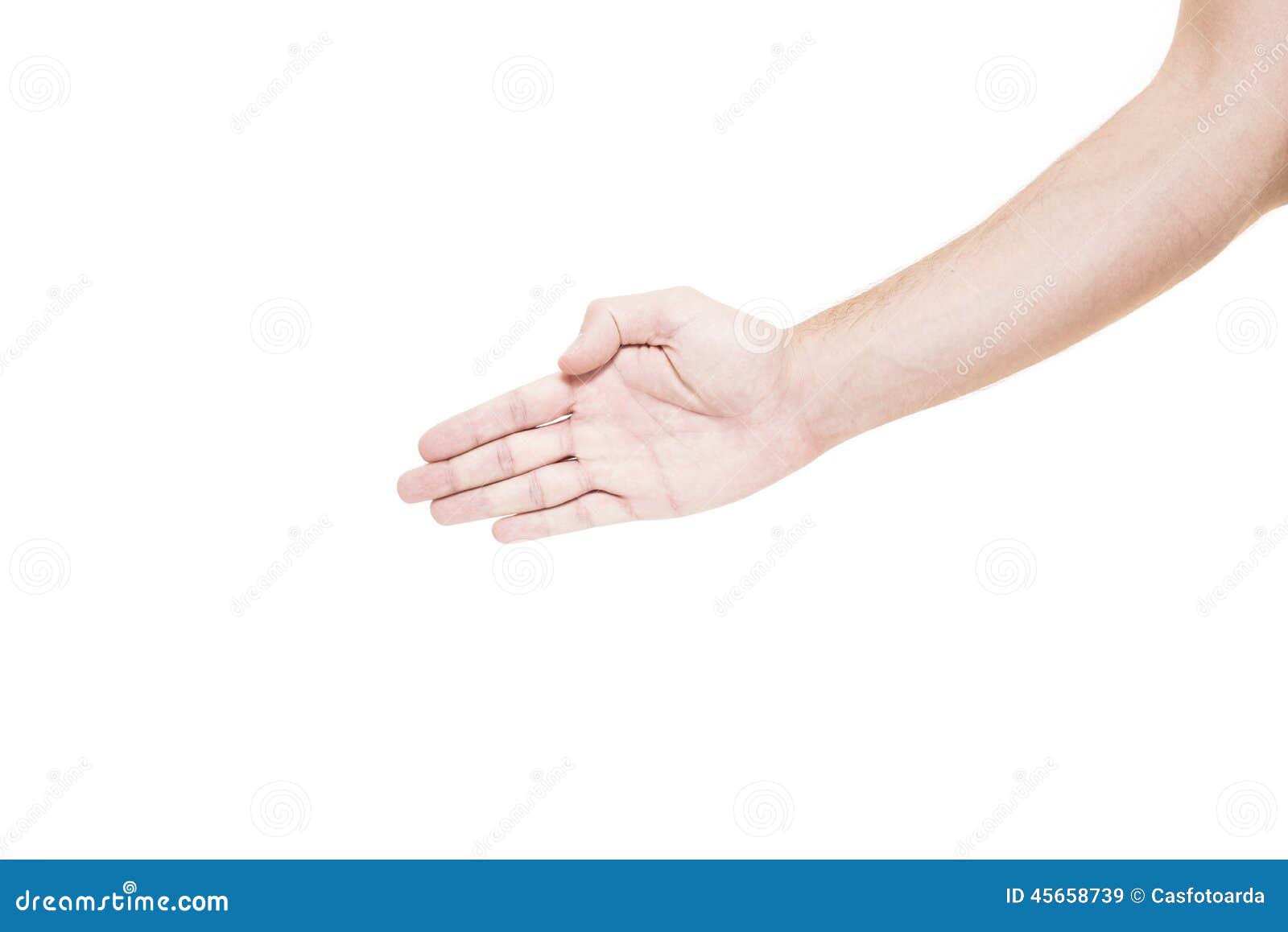 One hand stock image. Image of joint, skin, nail, thumb - 45658739