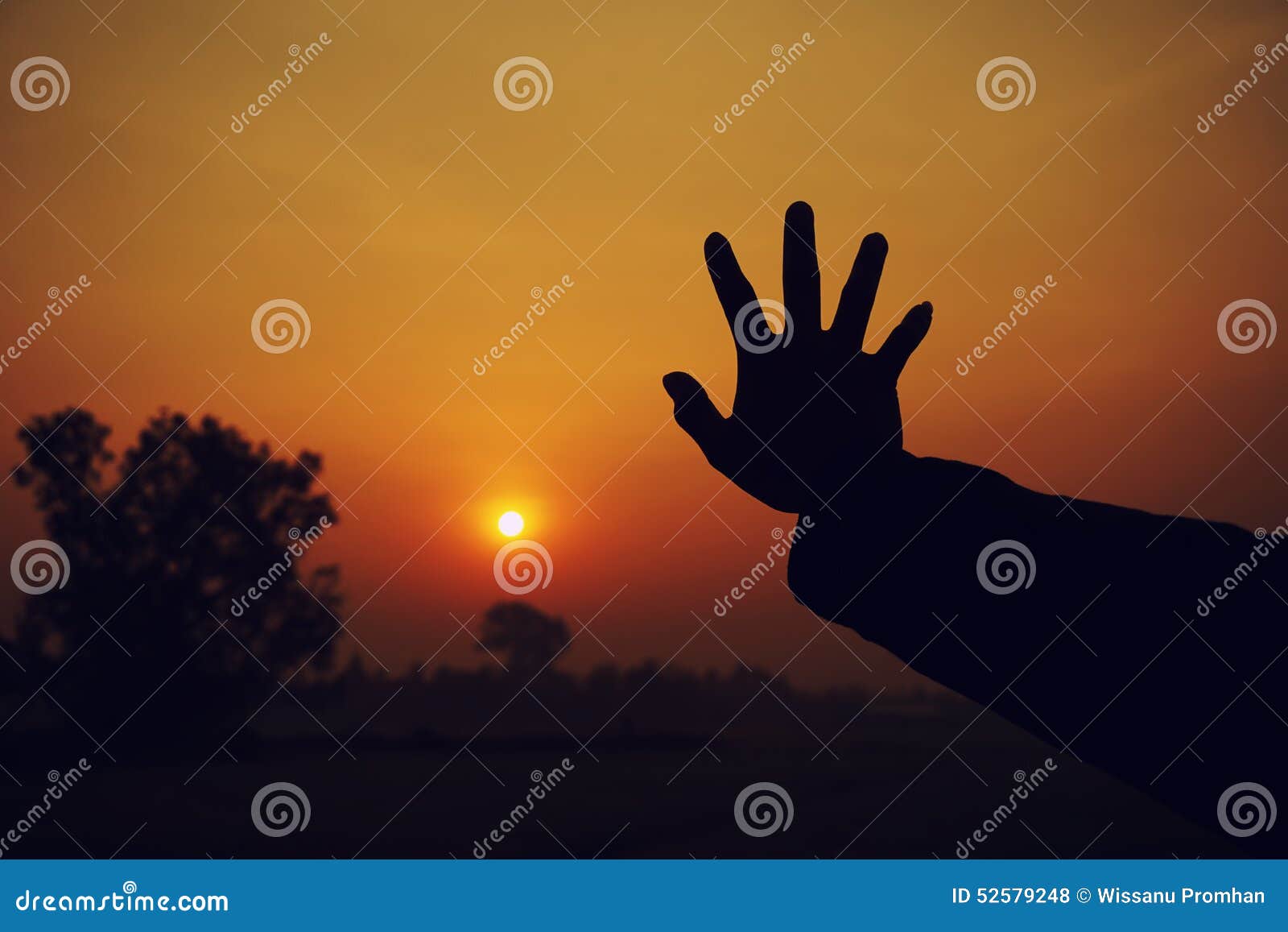 One Hand stock photo. Image of abstract, hand, show, compare - 52579248