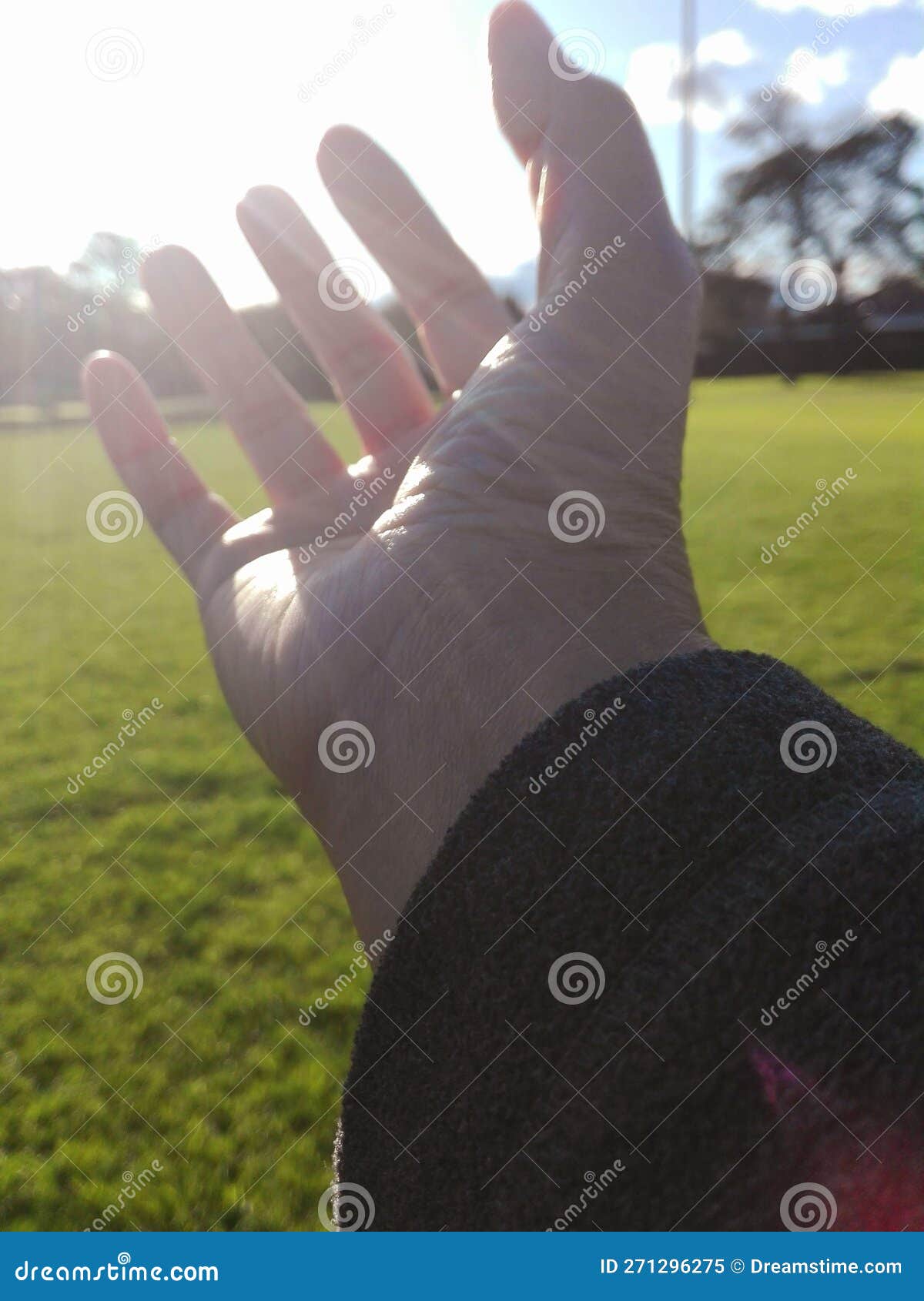 One hand touching sunlight stock image. Image of leaf - 271296275