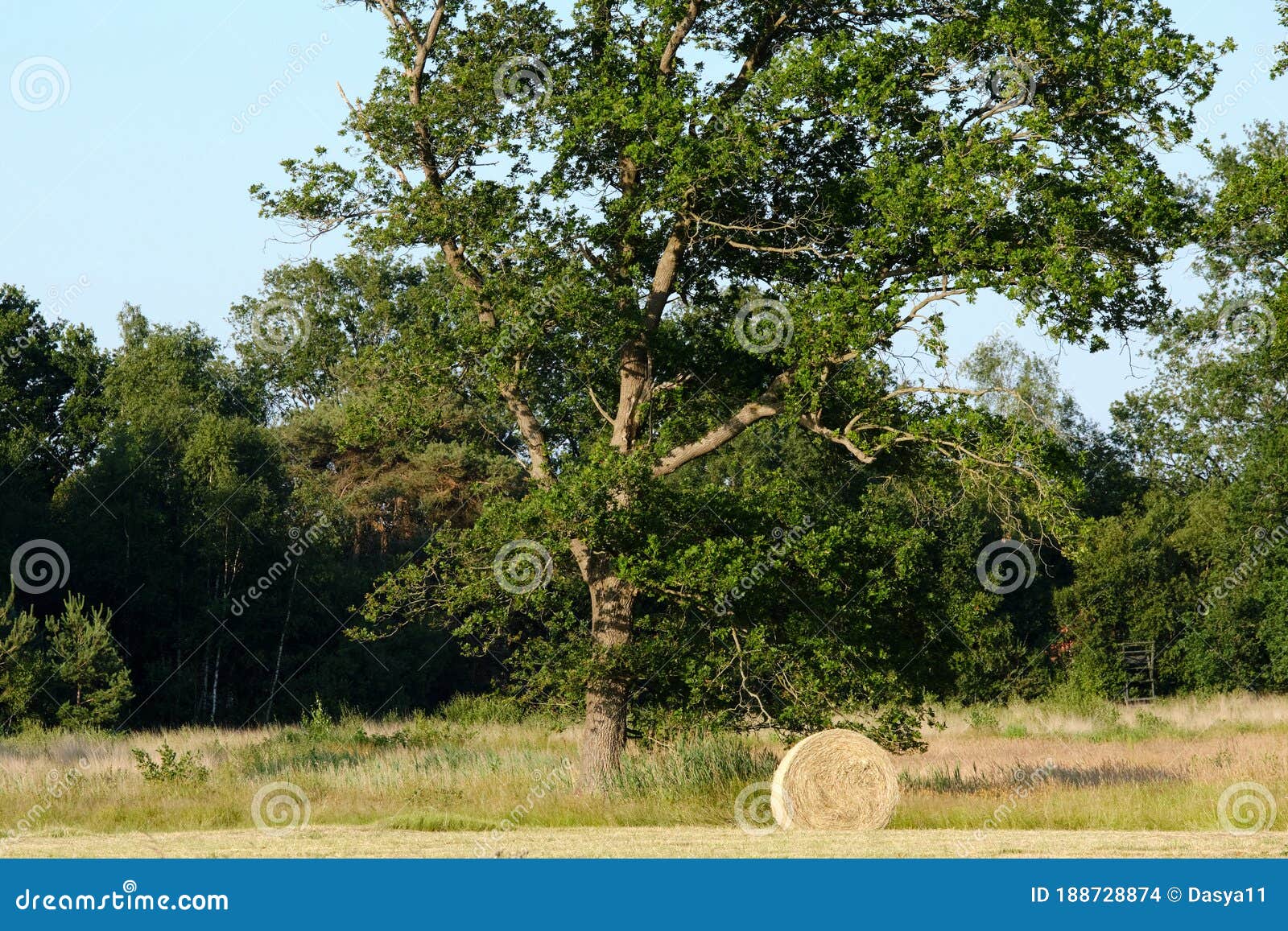 One Hay Roll In A Mowed Field. Behind The Highway Guardrail. Trees ...