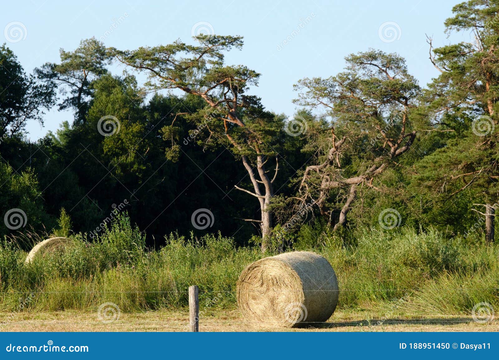 One Hay Roll In A Mowed Field. Behind The Highway Guardrail. Trees ...