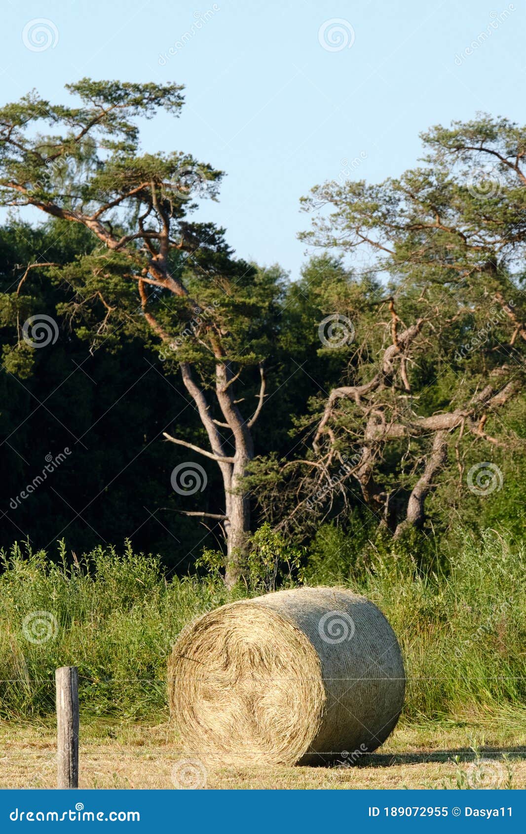 One Hay Roll In A Mowed Field. Behind The Highway Guardrail. Trees ...