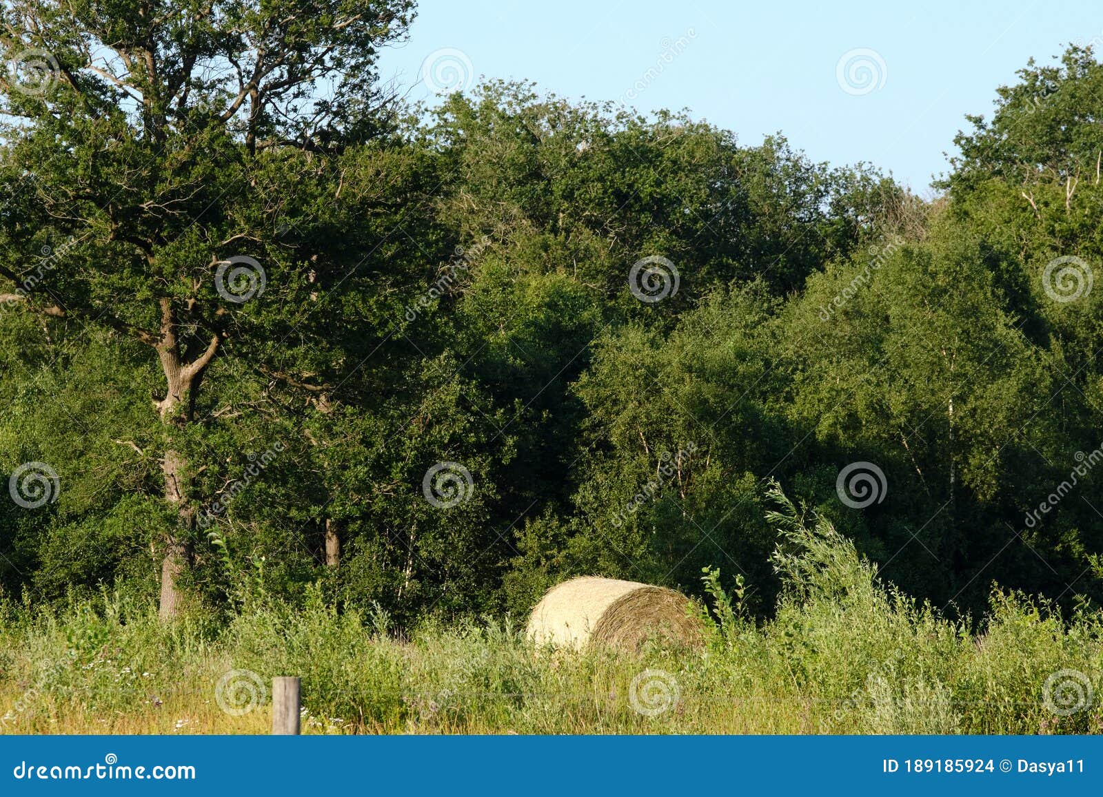 One Hay Roll in a Mowed Field. Trees, Meadow and Sky in the Background ...