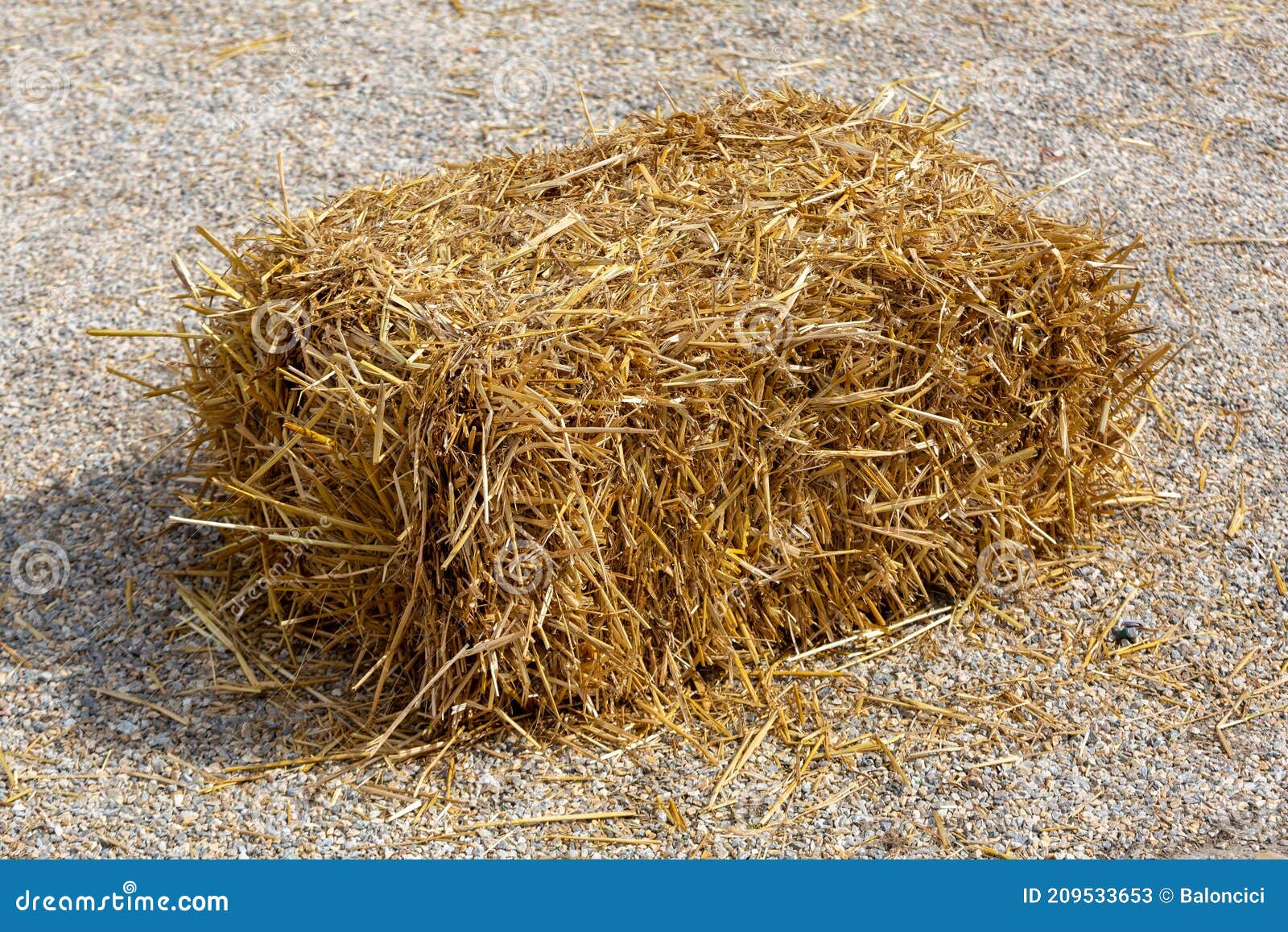 One Hay Straw Bale stock image. Image of outside, farming - 209533653