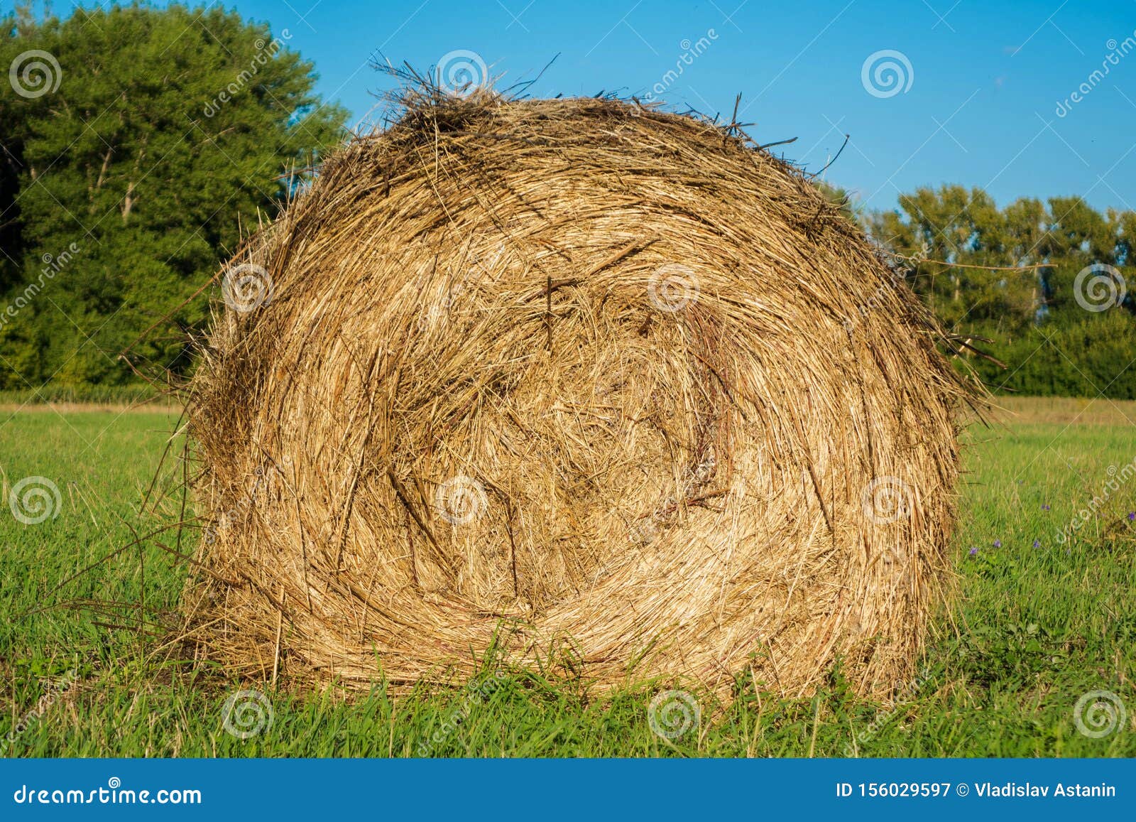 One Haystack on a Sunny Summer Day, Close-up, Agriculture Concept Stock ...