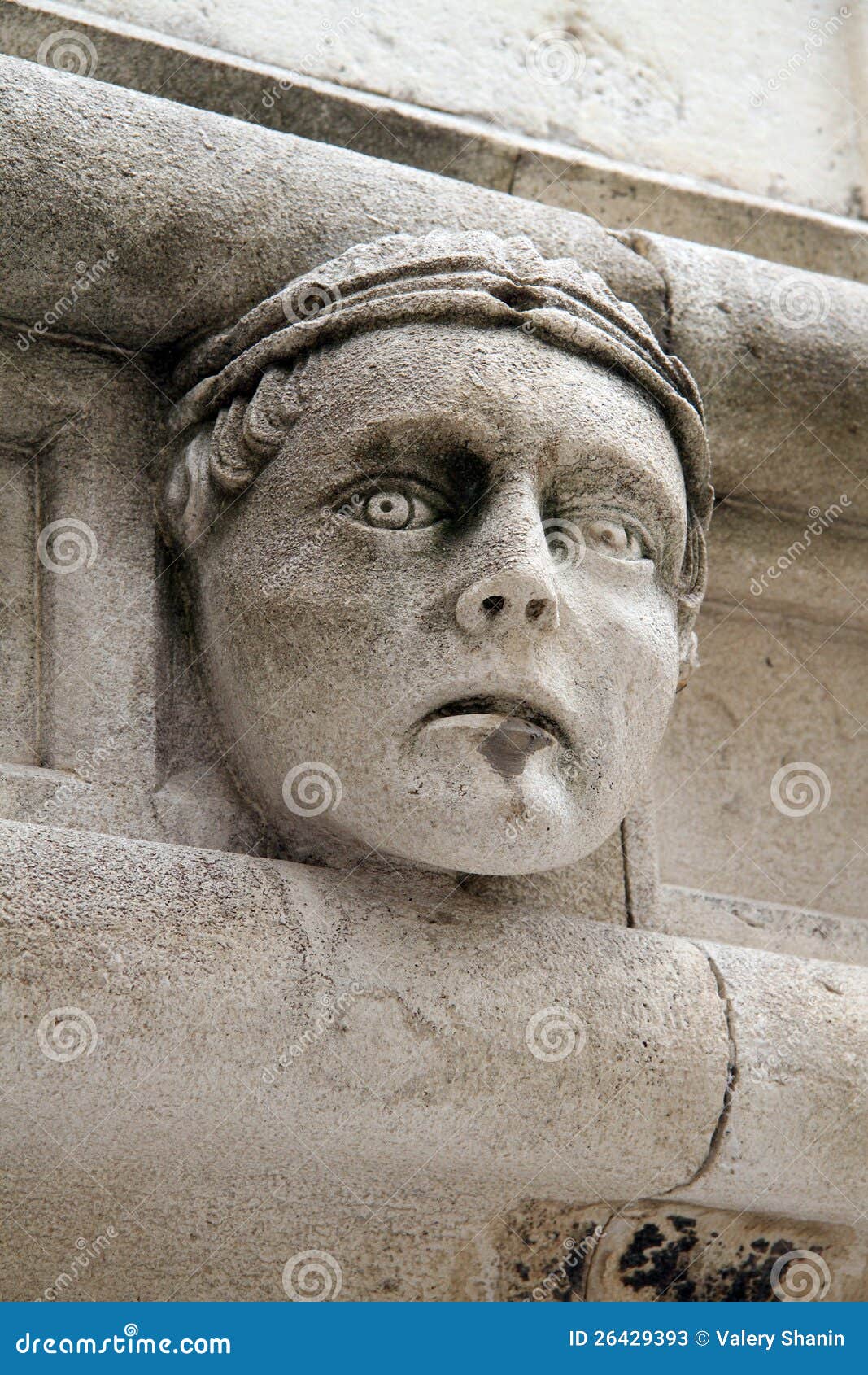 One head stock image. Image of monument, dalmatinets - 26429393