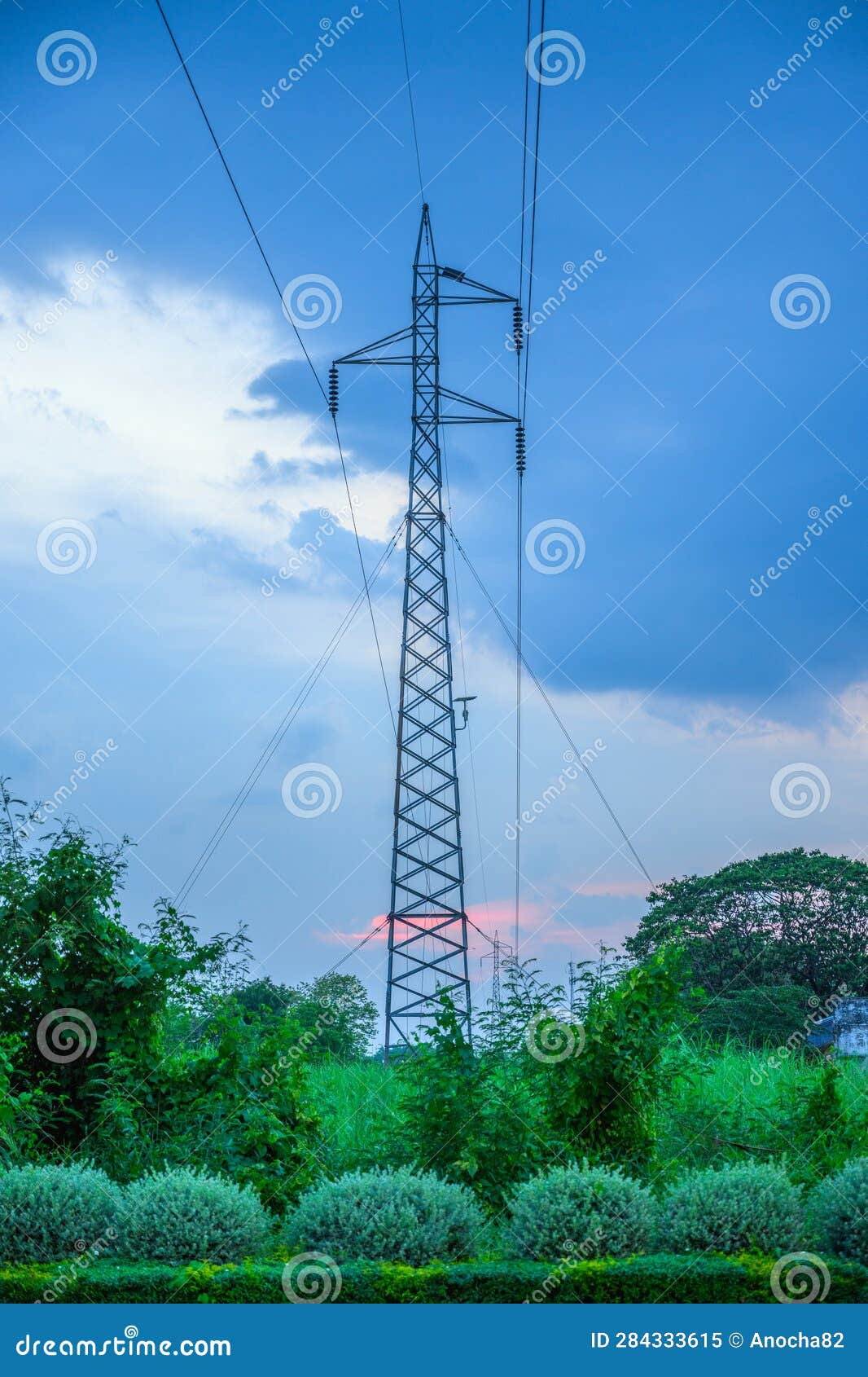One High-voltage Pylon in the Bushes Stock Image - Image of electric ...