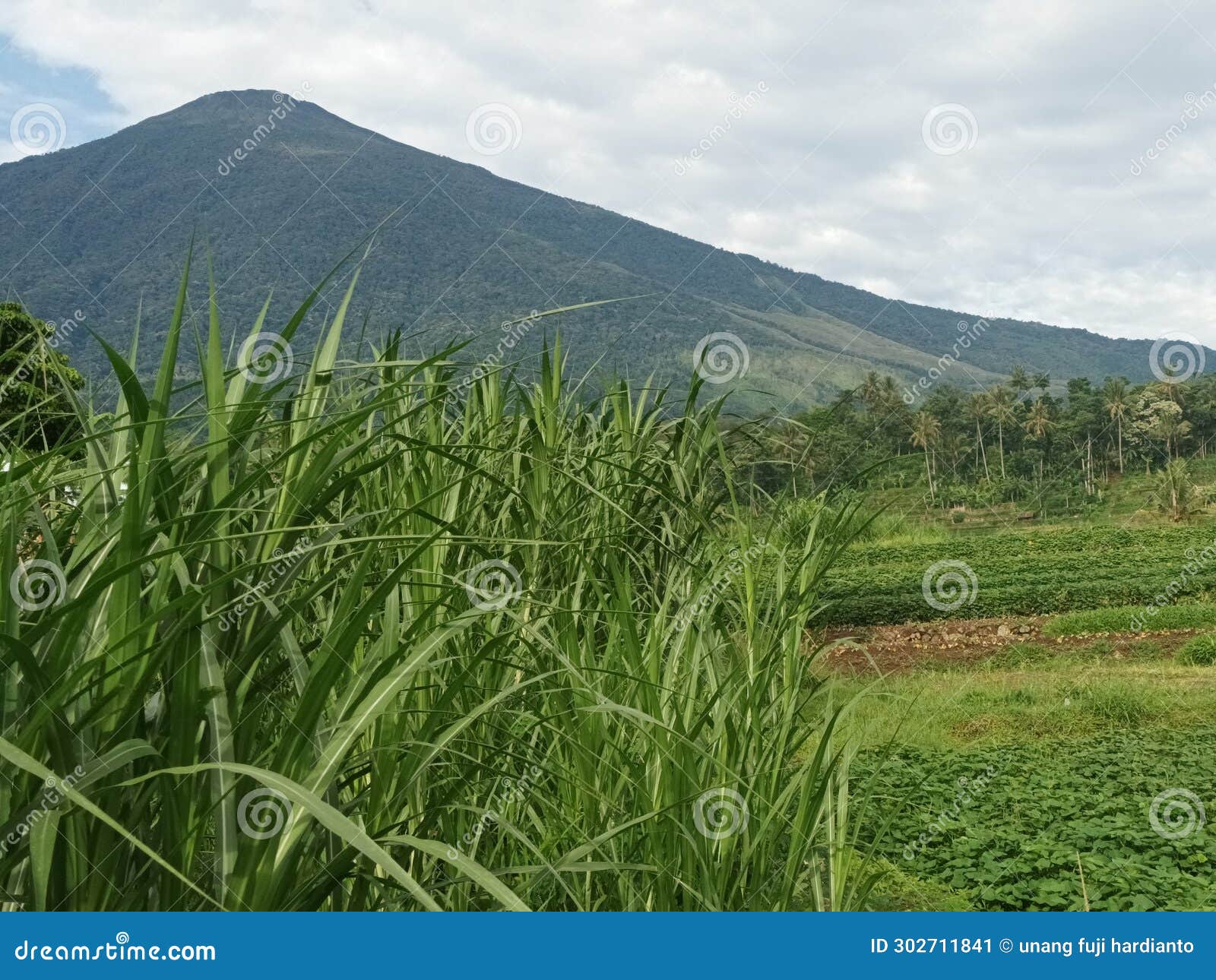 One of the Highest Mountains on the Indonesian Island of Java Stock ...