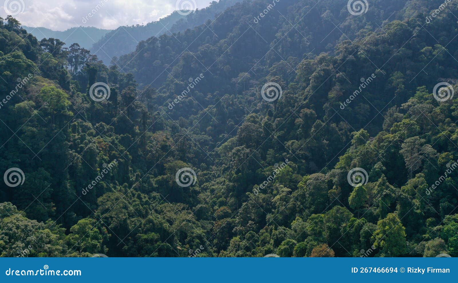 One of the Hills in Mount Leuser National Park Stock Photo - Image of ...