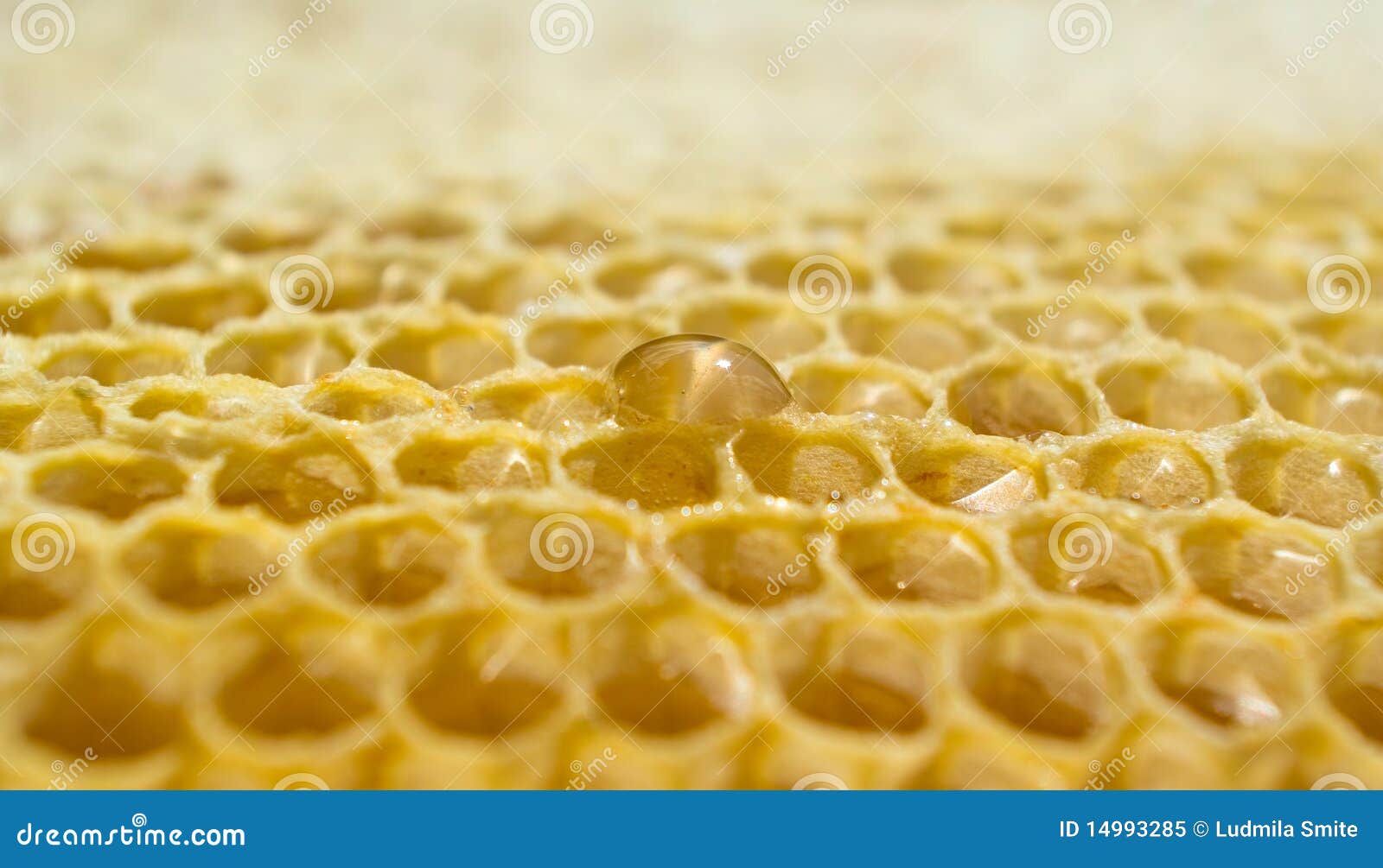 One honey drop. stock image. Image of yellow, healthy - 14993285