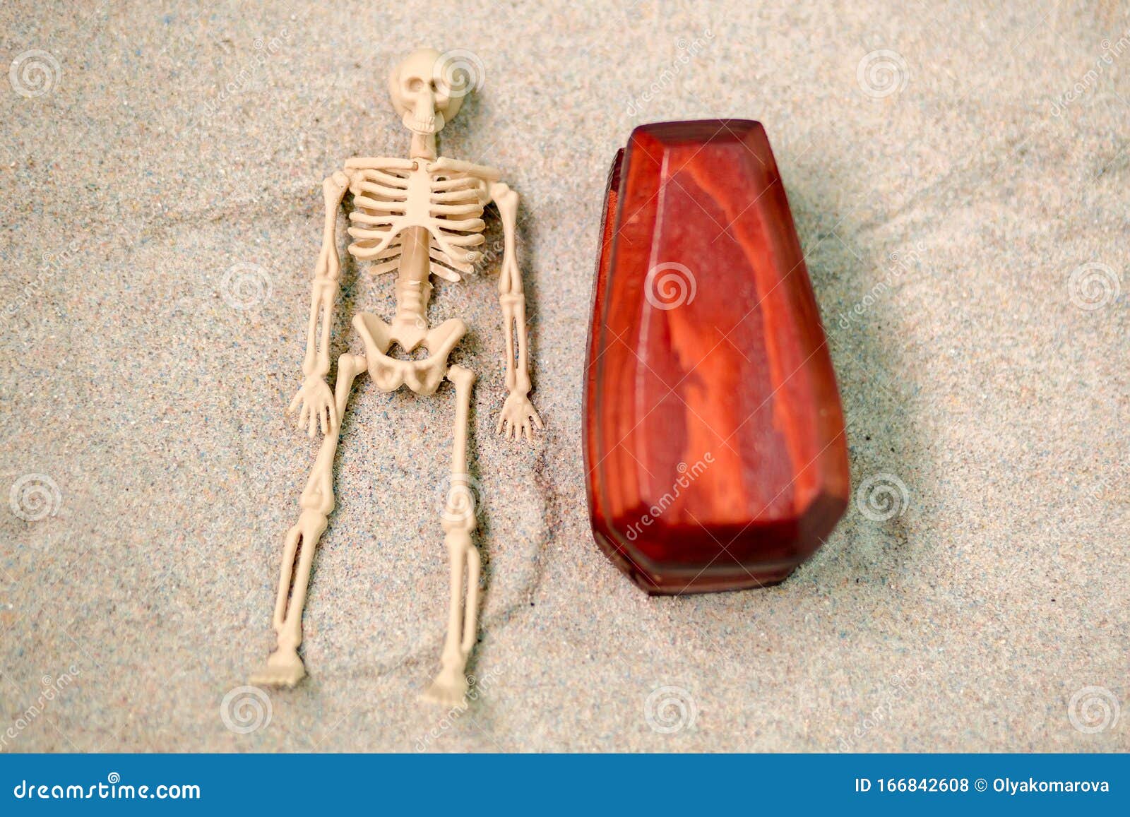 Skeleton and coffin stock photo. Image of skeleton, white - 166842608