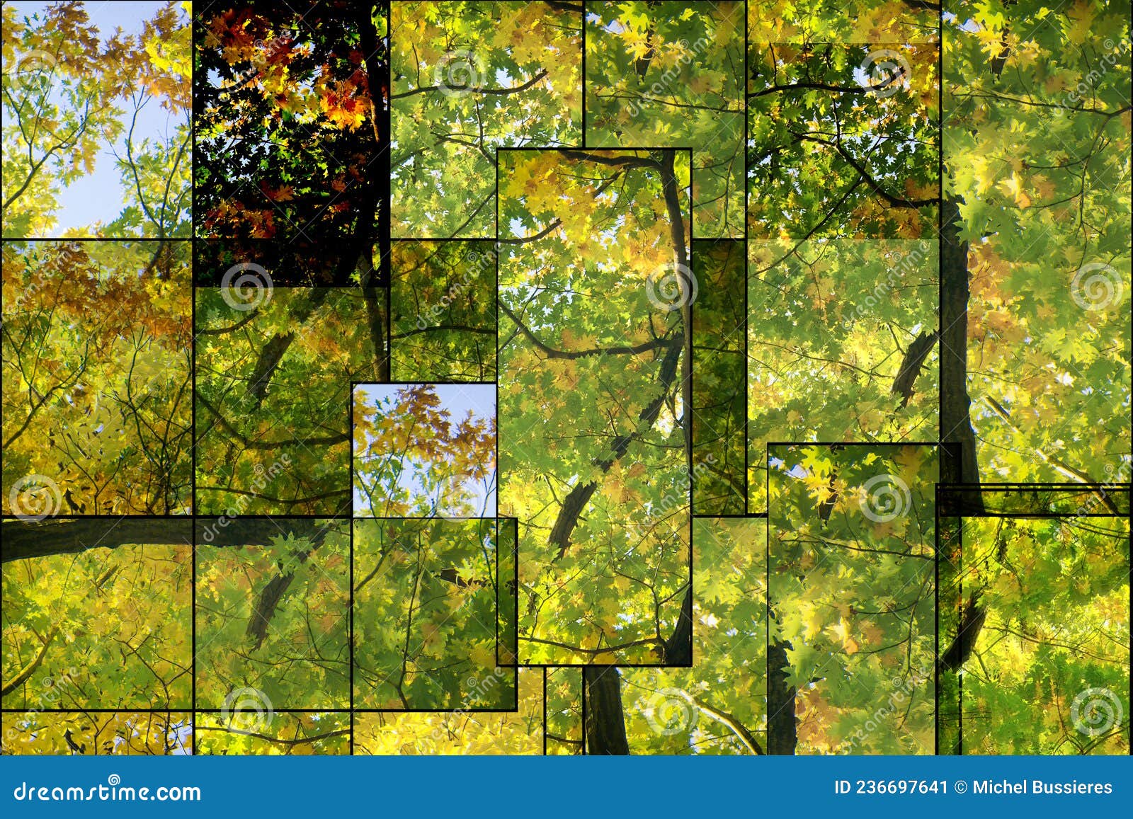 Forest Montage Variation of the Same Scene Stock Image - Image of trees ...