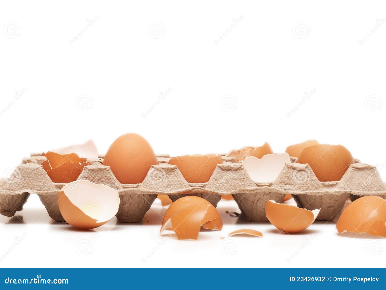 One intact egg stock photo. Image of shape, eggshell - 23426932