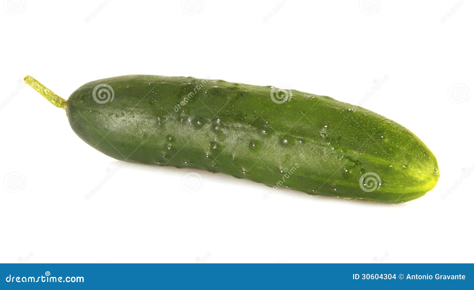 One isolated cucumber stock photo. Image of cucumber - 30604304