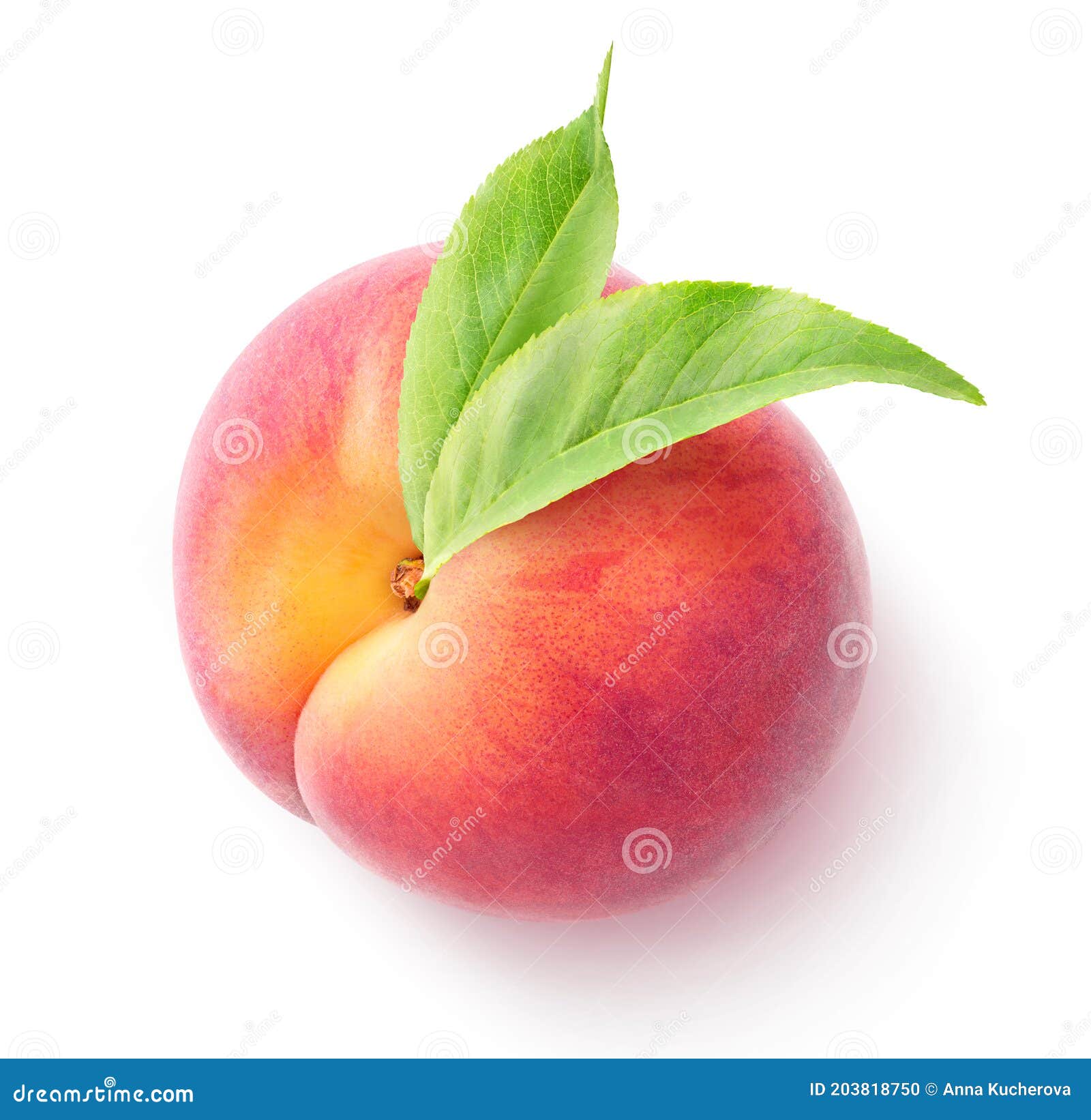 One Isolated Peach Top View Stock Photo - Image of element, macro ...