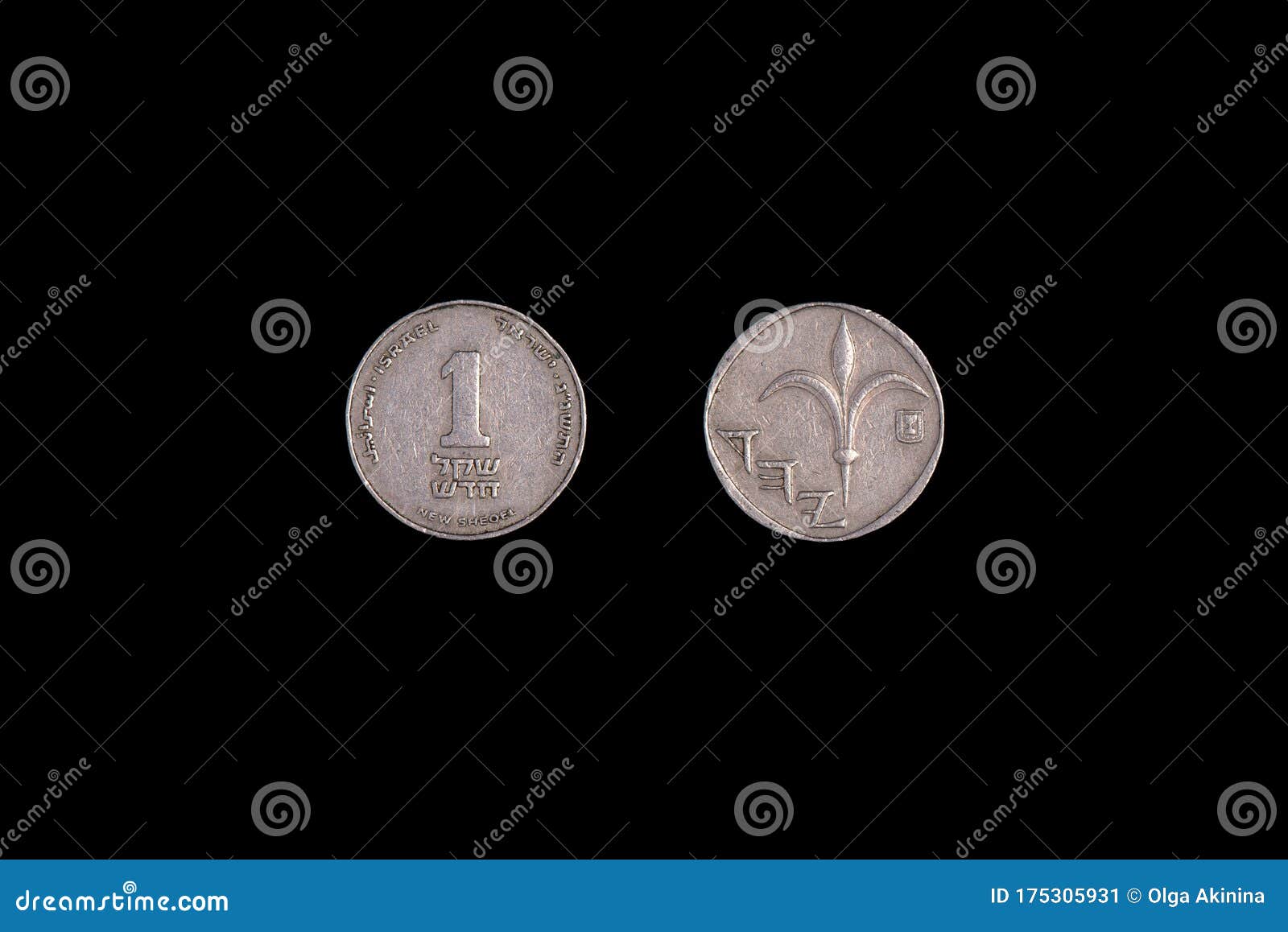 One Israeli Shekel from Both Sides on a Black Background. Close-up ...