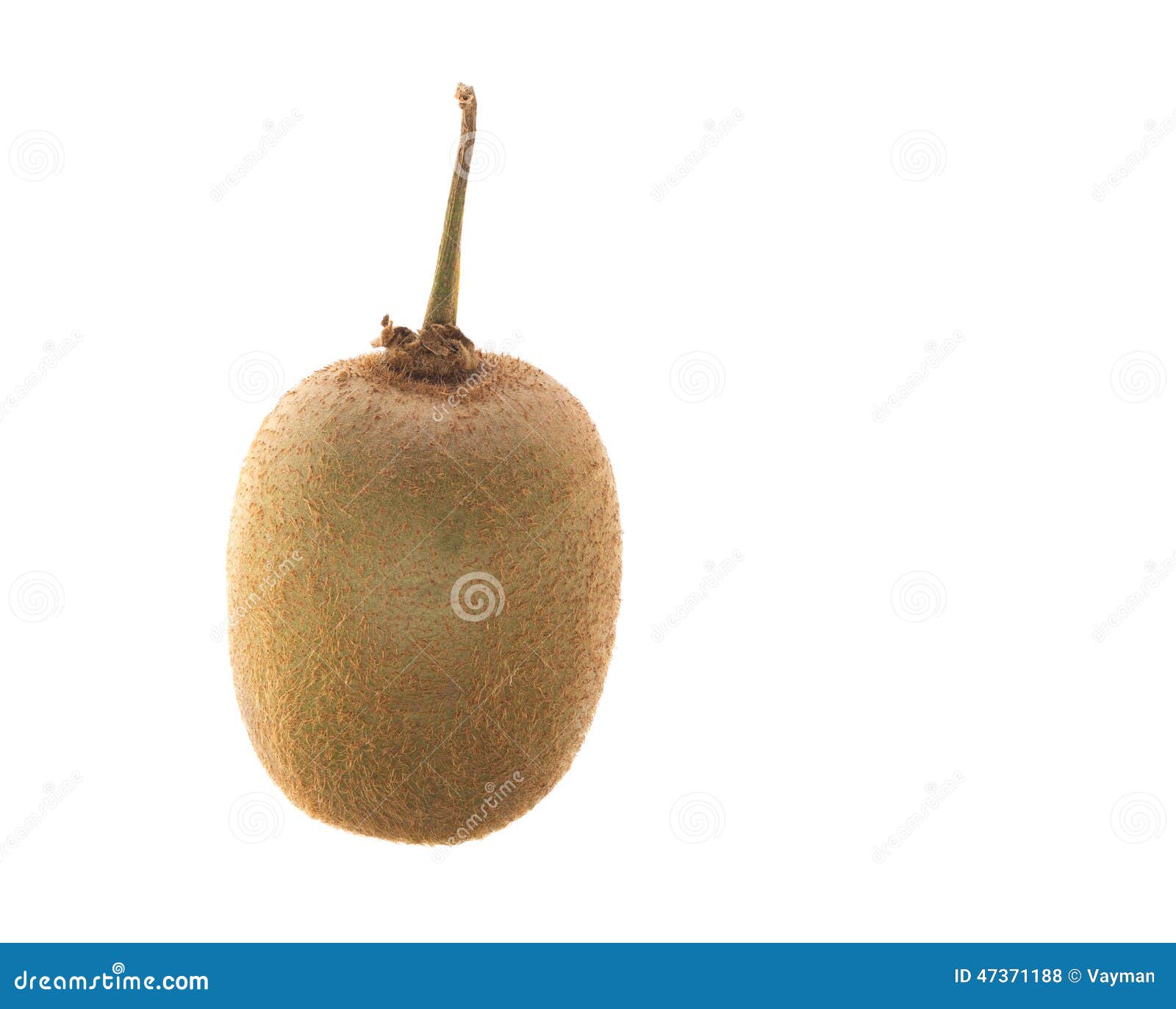 One kiwi fruit stock photo. Image of eating, fruit, energy - 47371188