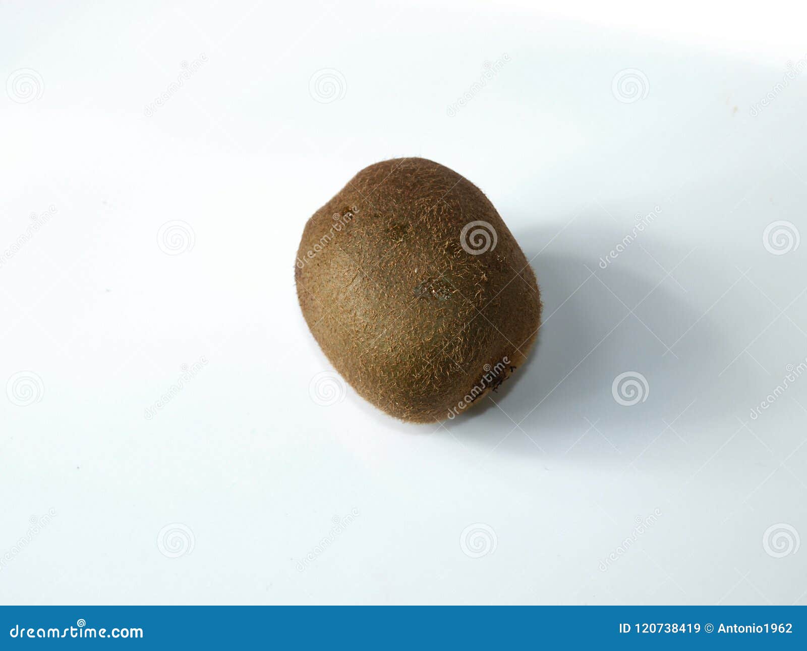 One Kiwi Fruit on White Background Stock Image - Image of isolated ...