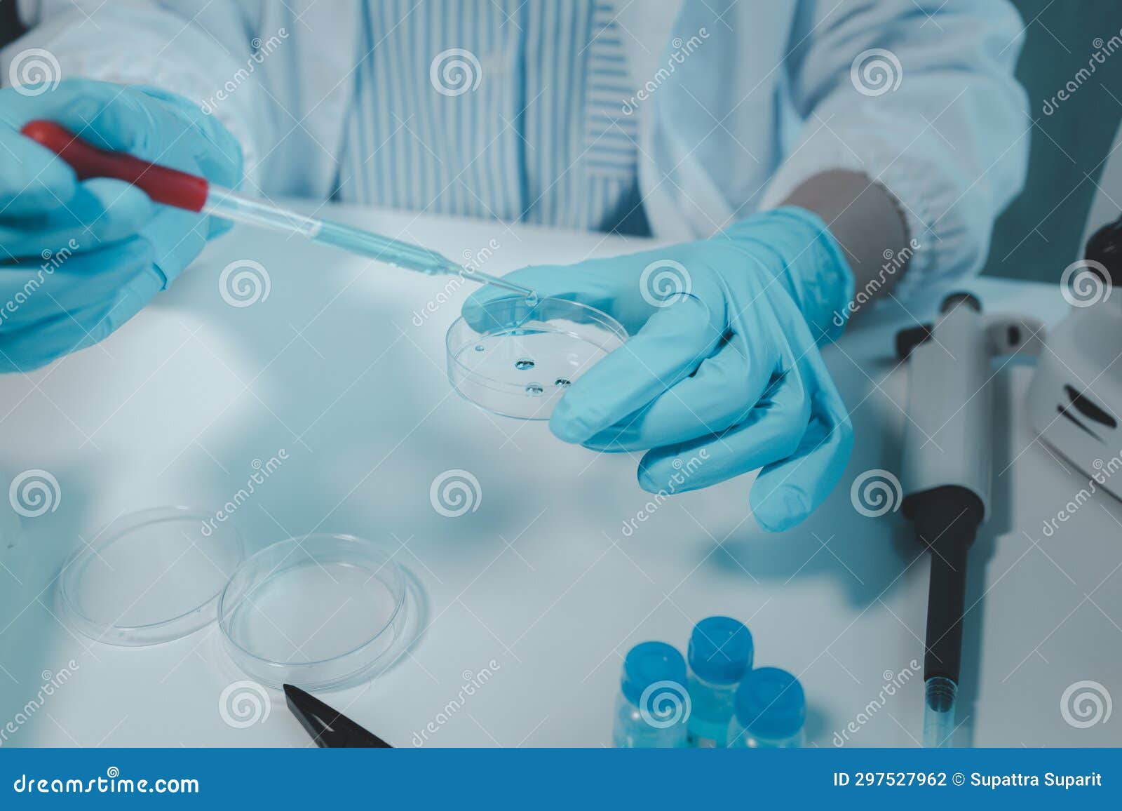 One Of The Laboratories Where Experiments Are Being Conducted, A ...