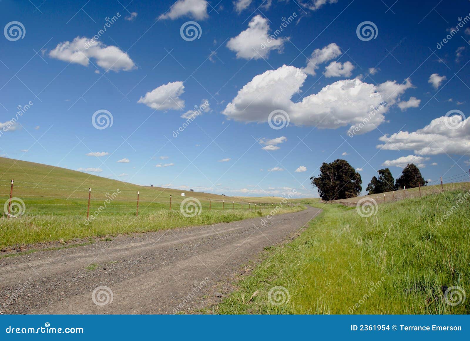 One Lane Gravel Road stock photo. Image of countryside - 2361954