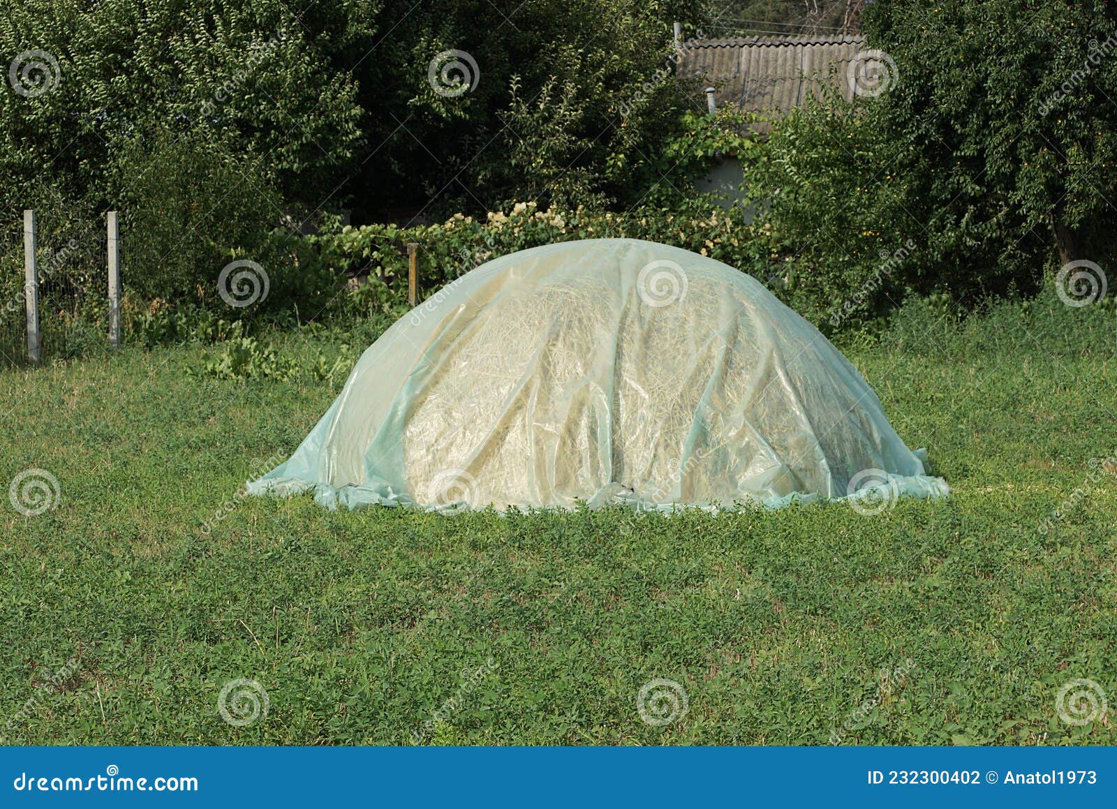 One Large Haystack Covered with a Gray Plastic Tent Stock Photo - Image ...