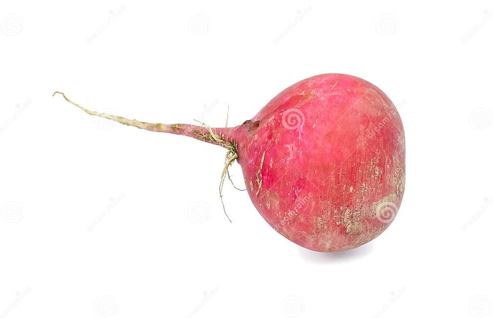 One large radish stock image. Image of healthy, nature - 28151827