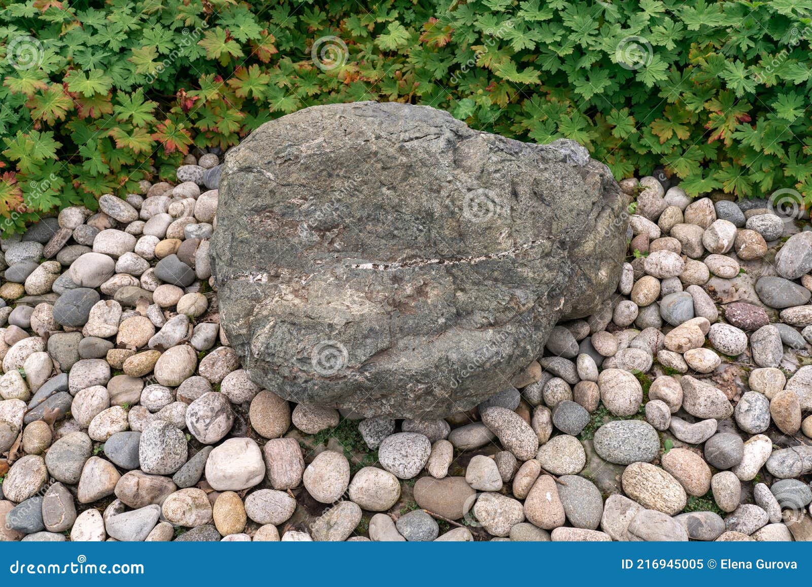 One Large Stone Surrounded by Small Ones. Natural Background Stock ...