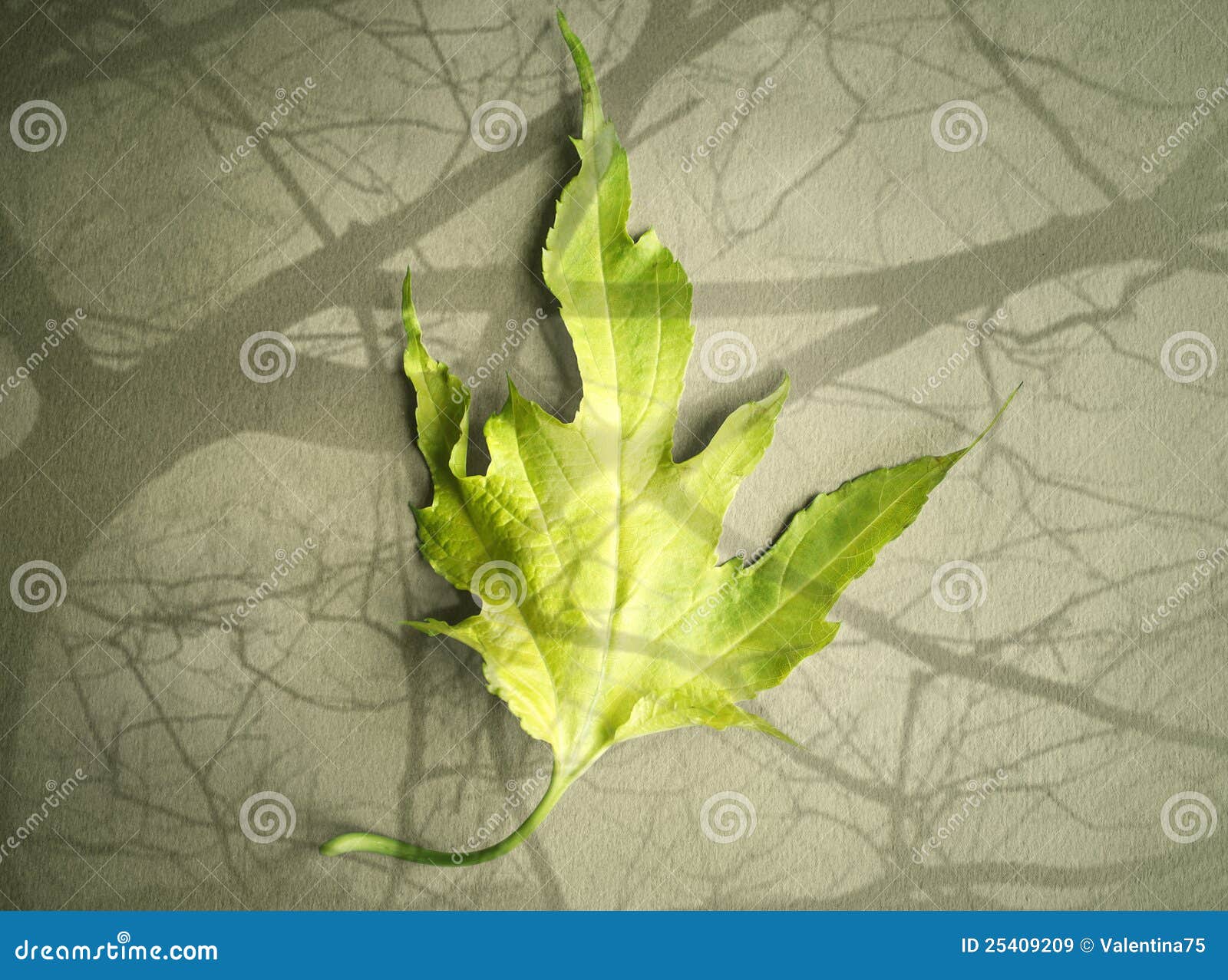 One leaf stock image. Image of text, melancholy, tree - 25409209