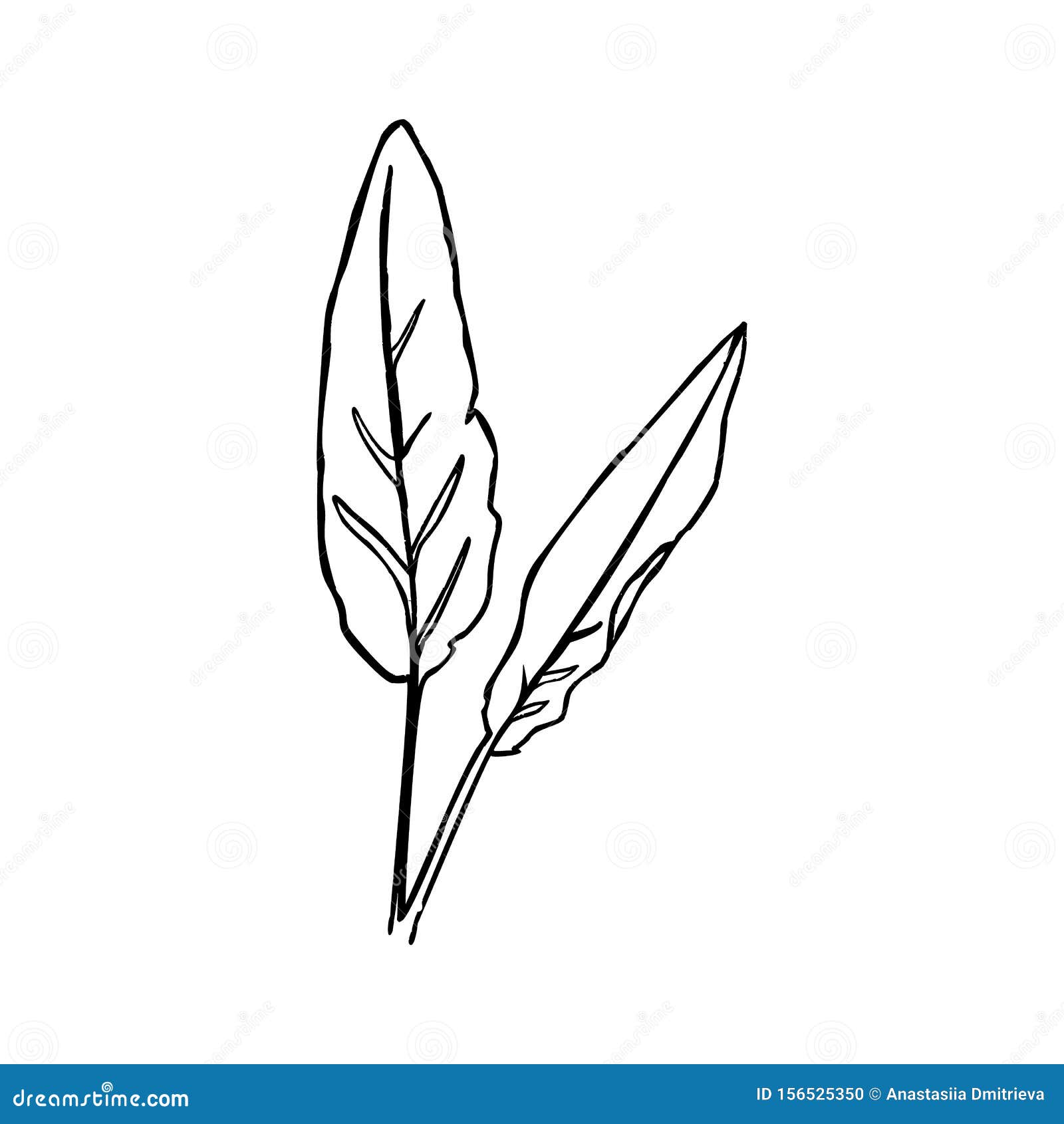 One Line The Banana Leaf Continuous Line Tropical Plant In A Modern