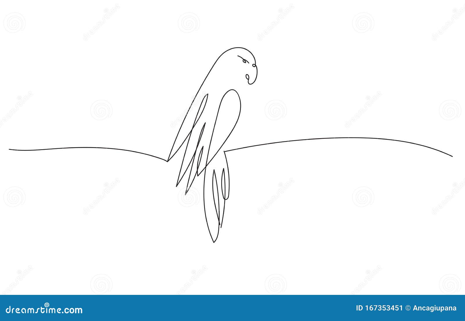 One line design of parrot stock vector. Illustration of unusual - 167353451