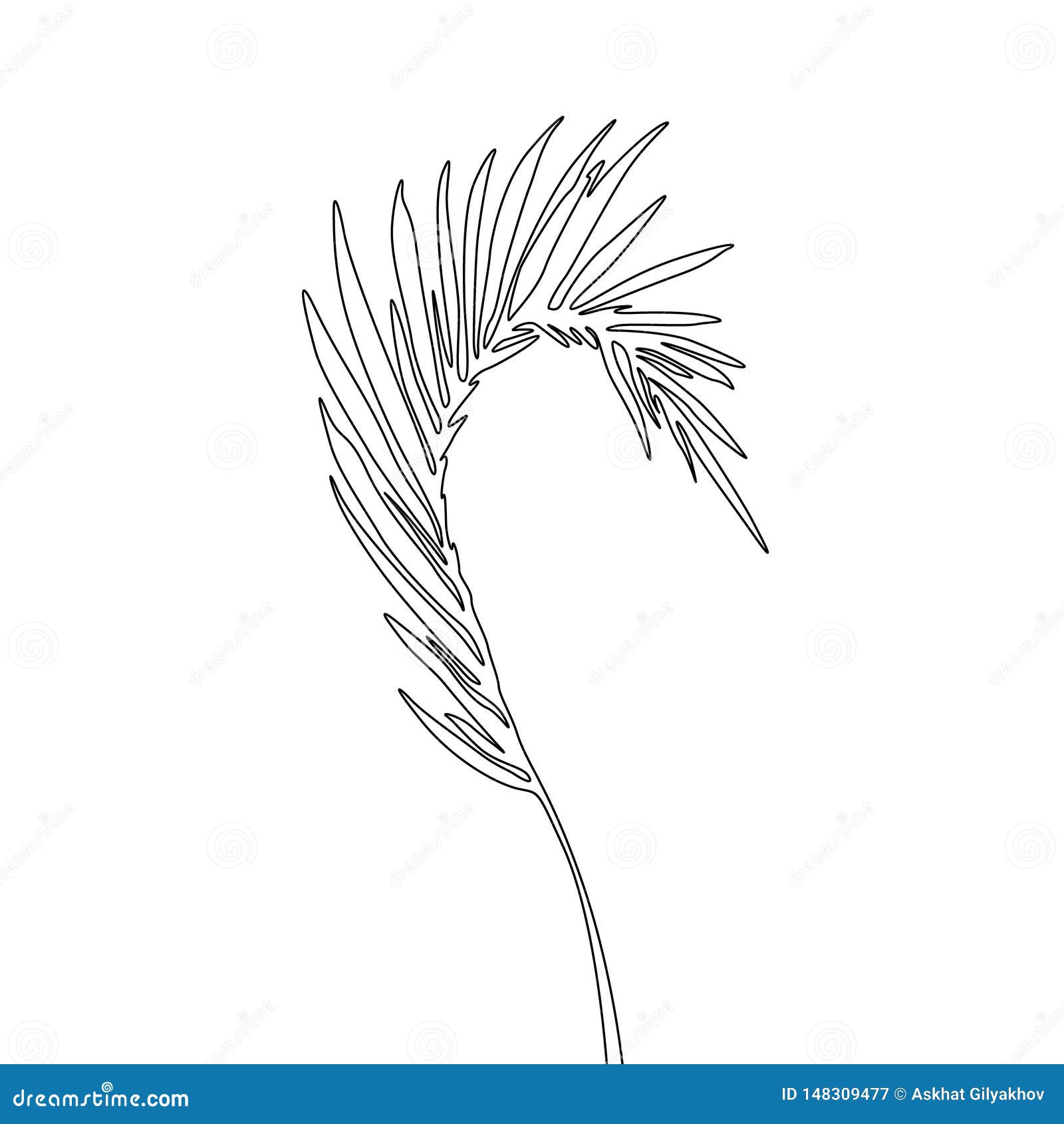 Areca Palm Sketch By Hand Drawing Cartoon Vector | CartoonDealer.com ...