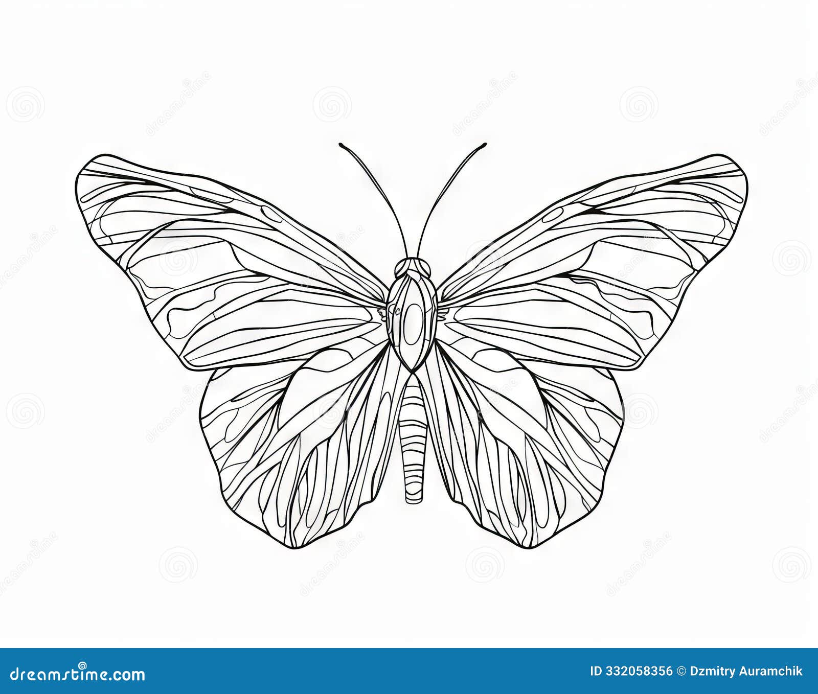 One Line Drawing of a Beautiful Butterfly. Modern Illustration with ...