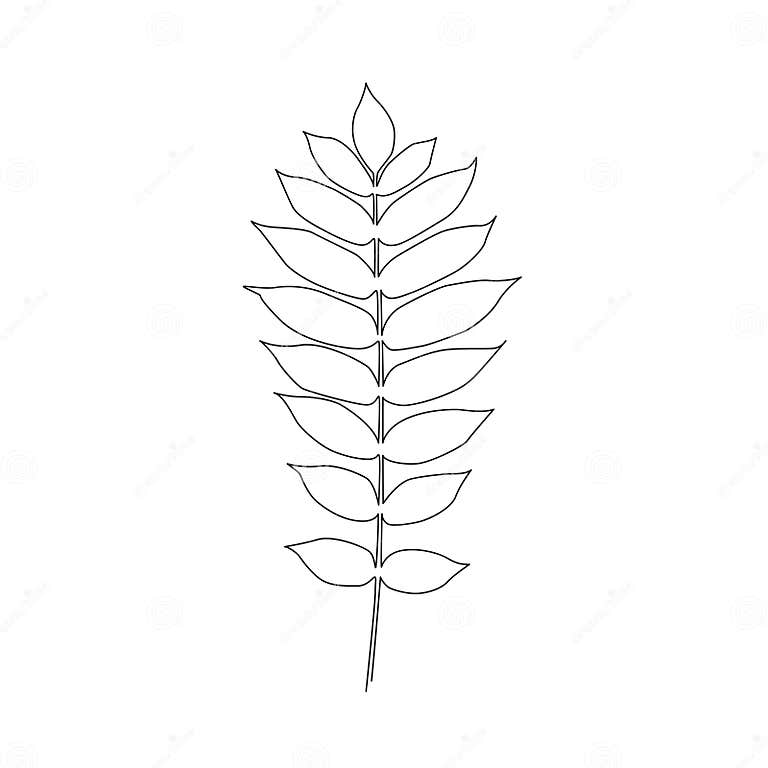 One Line Drawing Vector Leaf. Minimal Art. Stock Vector - Illustration ...