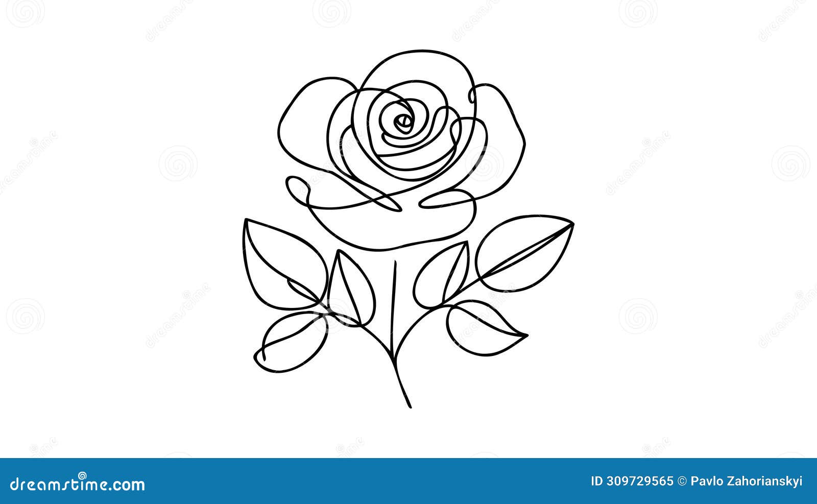One Line Rose Design. Hand Drawn Minimalism Style Vector Illustration ...