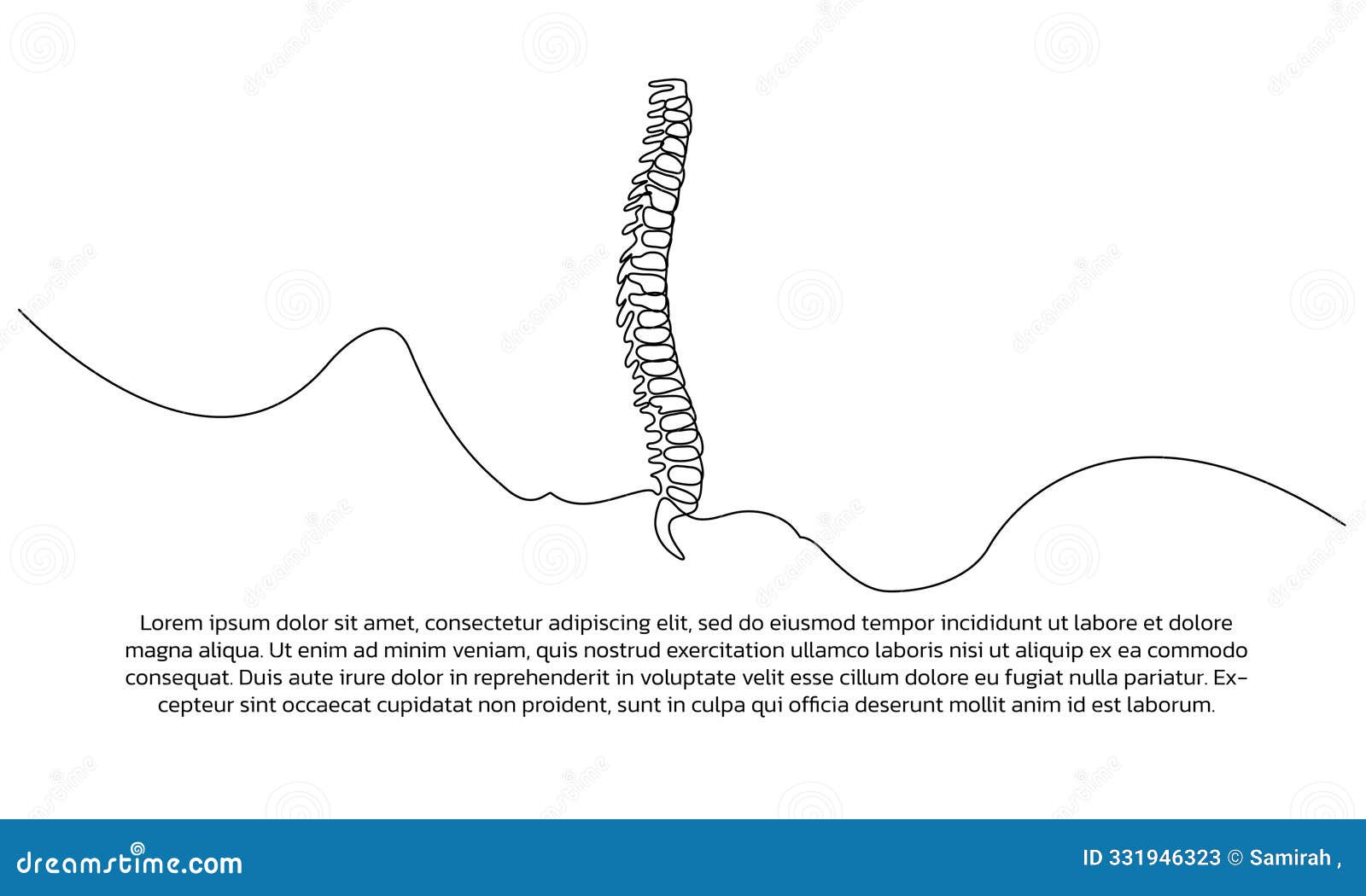 One Line Spine System Poster Drawing With Frame Cartoon Vector ...