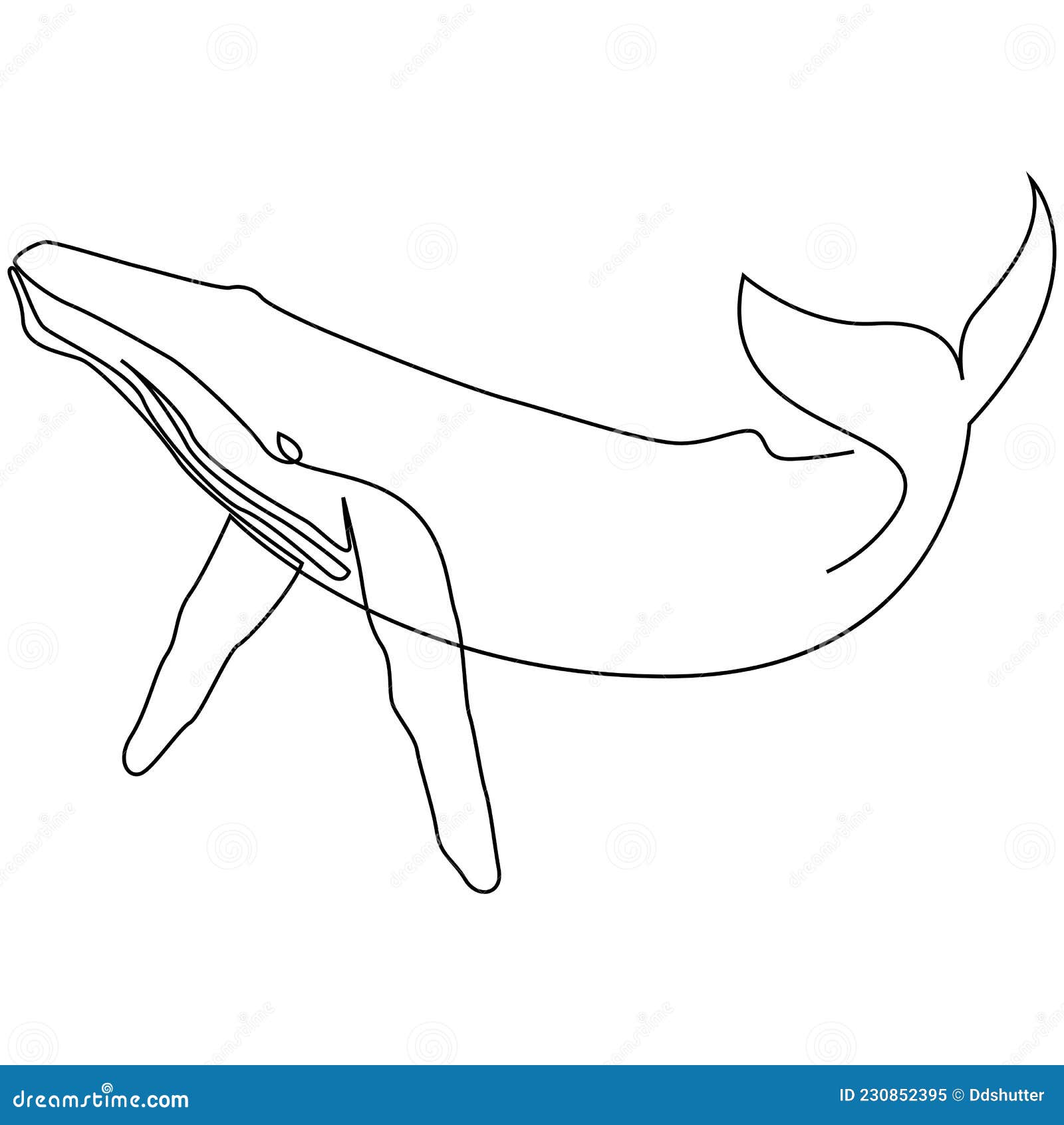 One Line Whale Design Silhouette. Hand Drawn Minimalism Style Vector ...