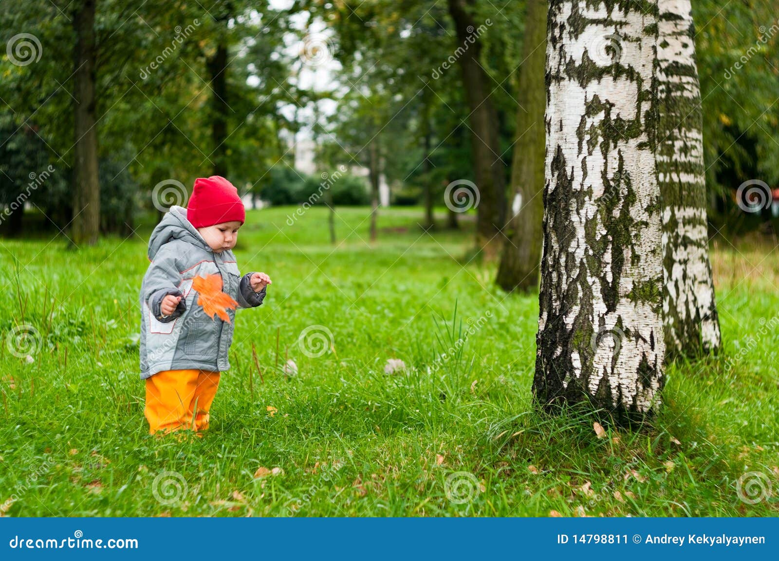 One Little Baby Walking in Park Stock Image - Image of color, cheerful ...