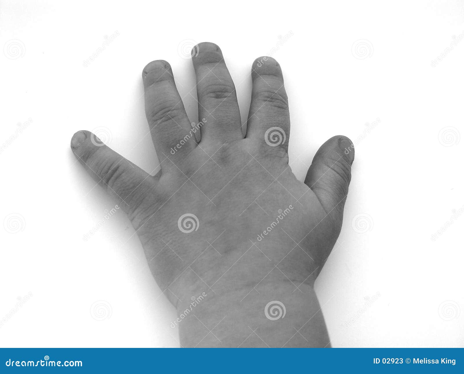 One Little Hand stock image. Image of closeups, hold, arms - 2923