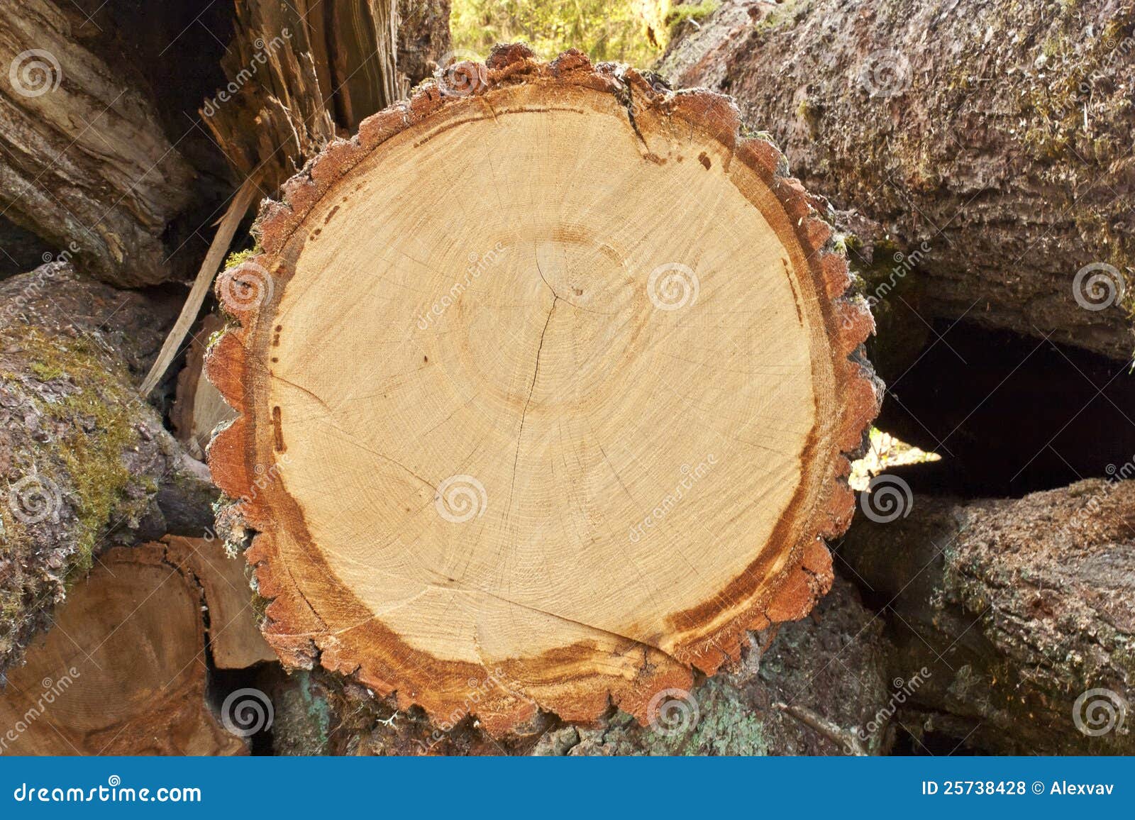 4,552 Other Timber Photos - Free & Royalty-Free Stock Photos from ...