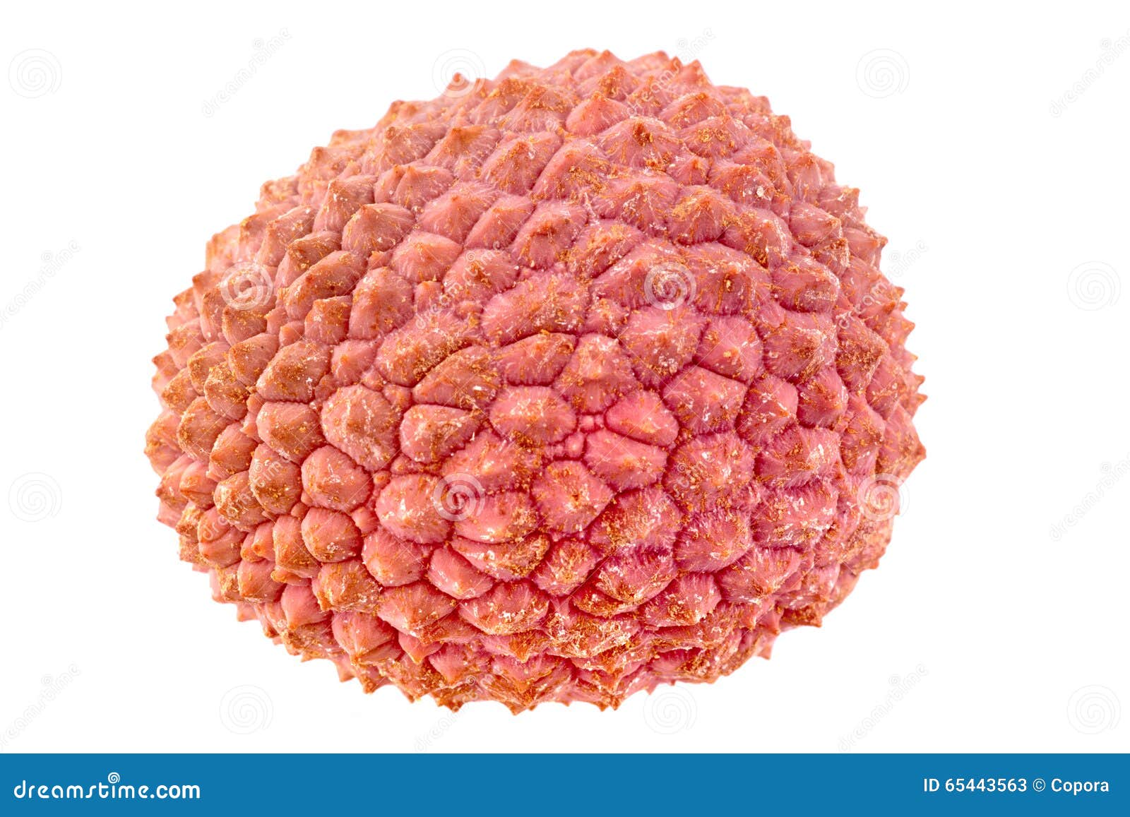 One Lychee on a White Background Stock Image - Image of ripe ...