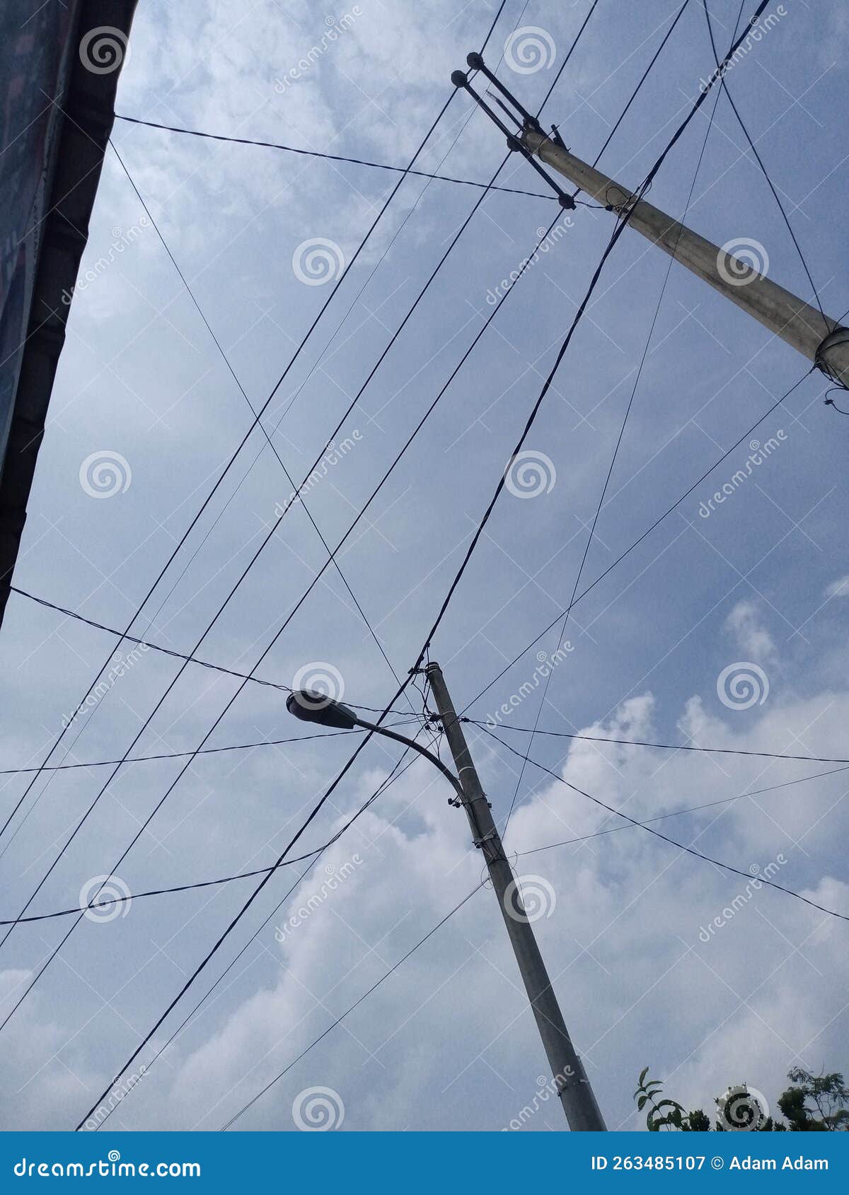 One of the Main Components of the Construction of the Distribution of ...