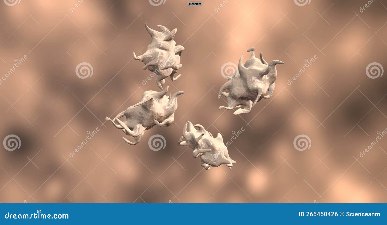 One Major Function of Platelets is To Contribute To Hemostasis Stock ...