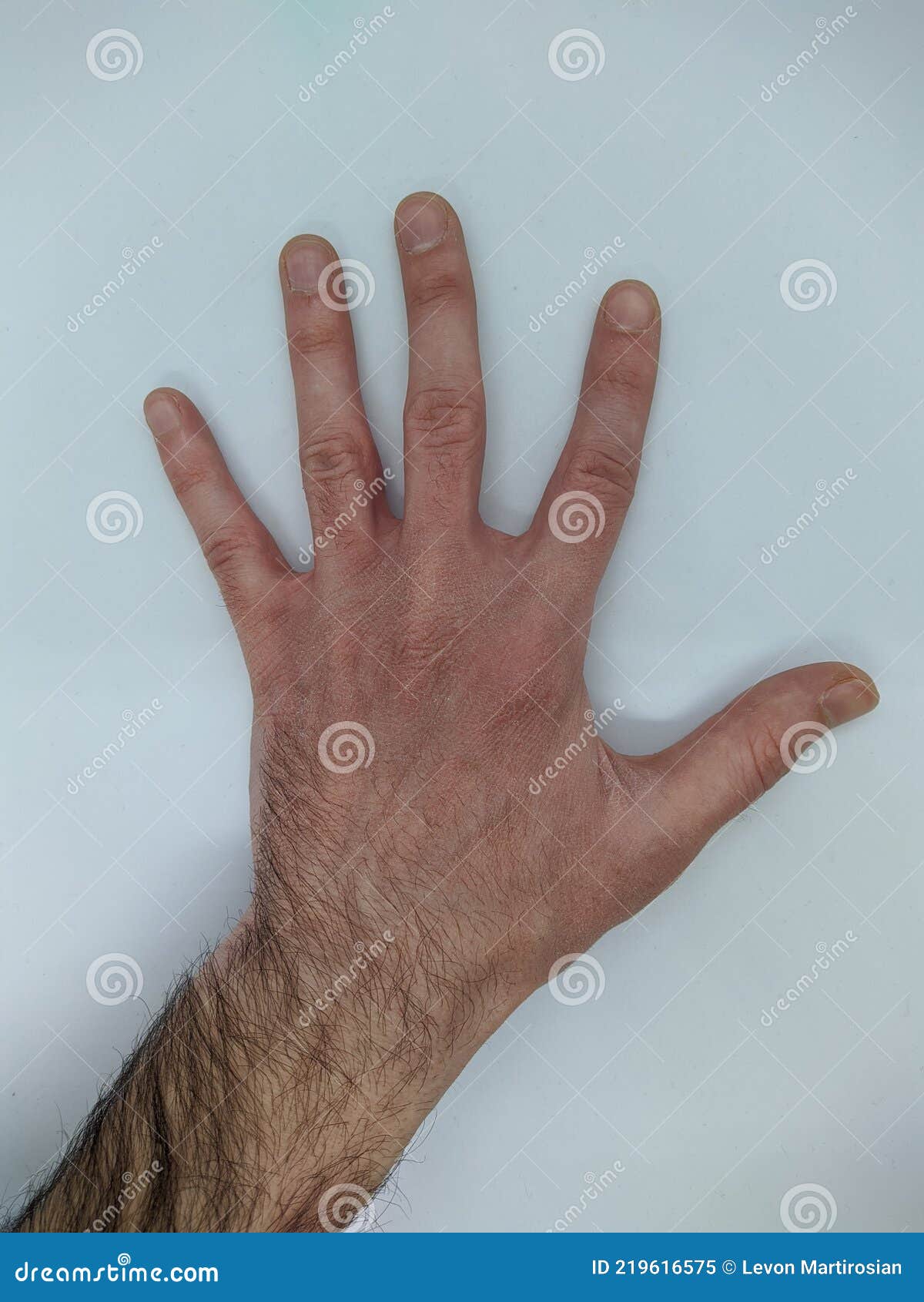 One Man Hand on a White Background Top View Stock Image - Image of help ...
