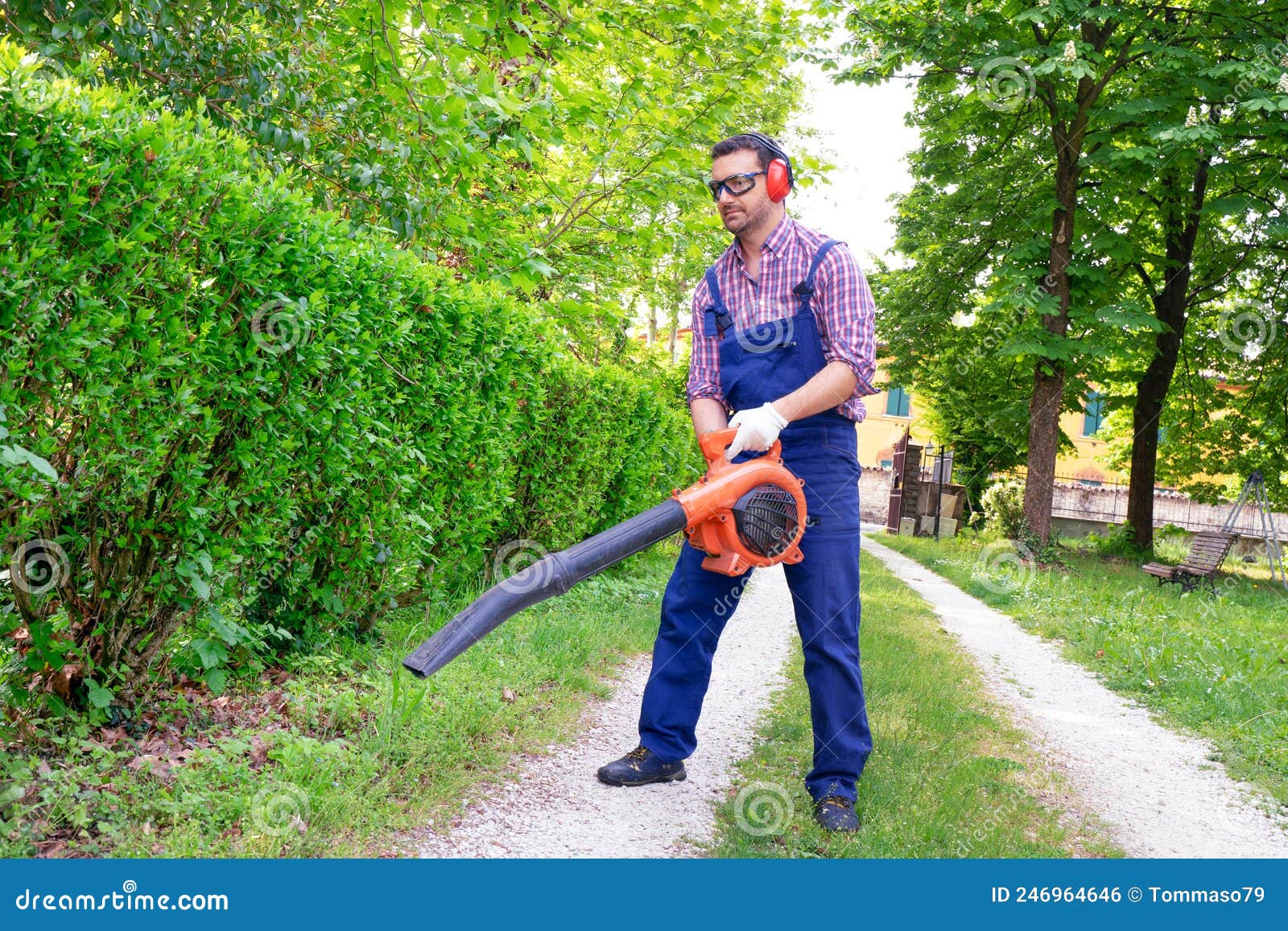 One Man Working in Garden Blowing Leaves with Leaf Blower Stock Photo ...