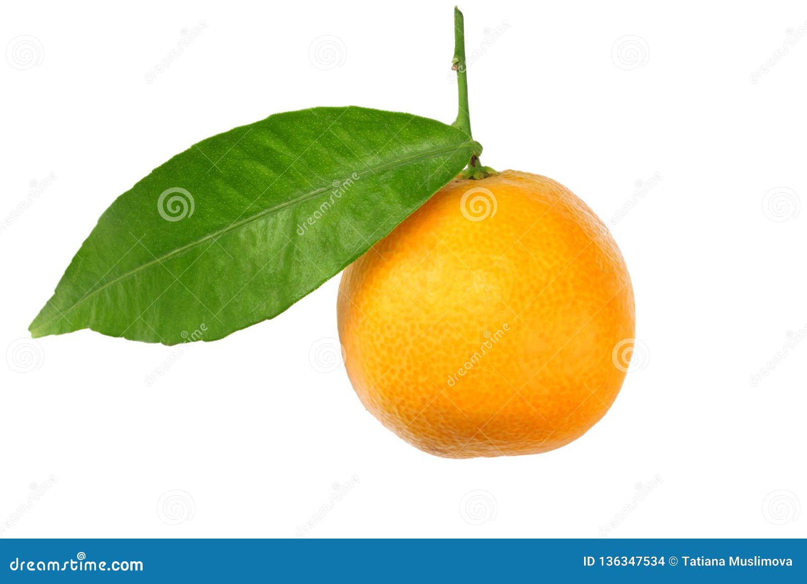 One Mandarin with Green Leaf Isolated on White Background Stock Photo ...