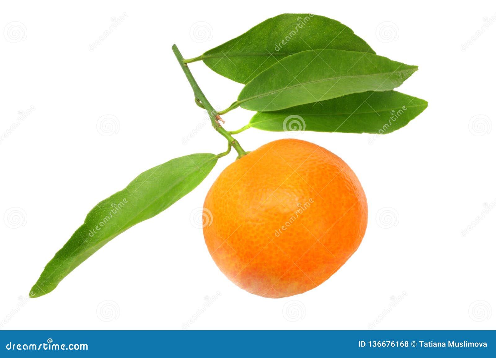 One Mandarin with Green Leaf Isolated on White Background Stock Photo ...