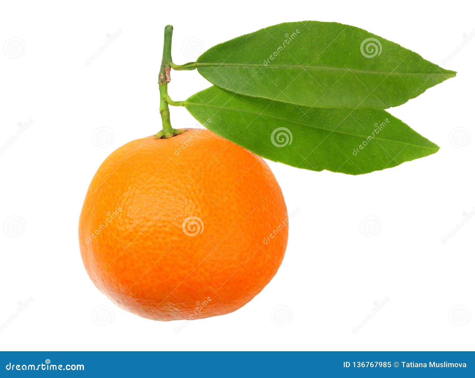 One Mandarin with Green Leaf Isolated on White Background Stock Image ...