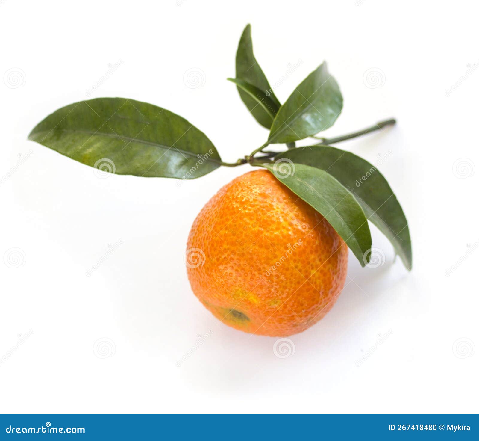 One Mandarin with Leaves Isolated on White Stock Photo - Image of color ...