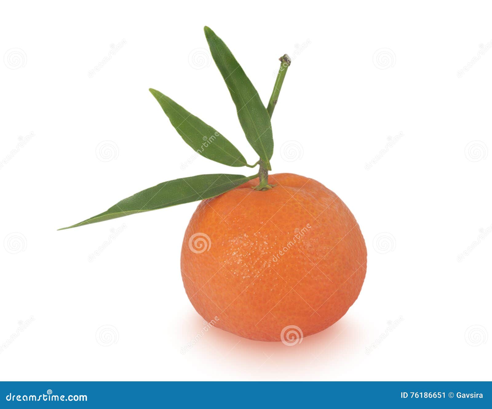 One Mandarine with Green Leaves Isolated on White Background Stock ...