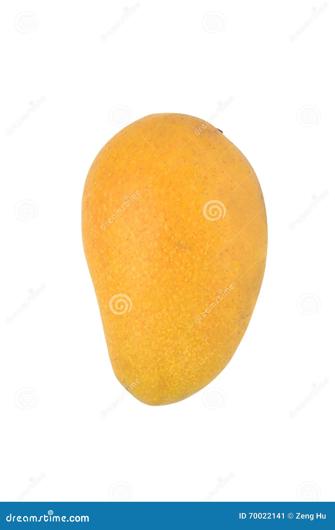 ONE MANGO stock image. Image of yellow, cheek, food, halved - 70022141